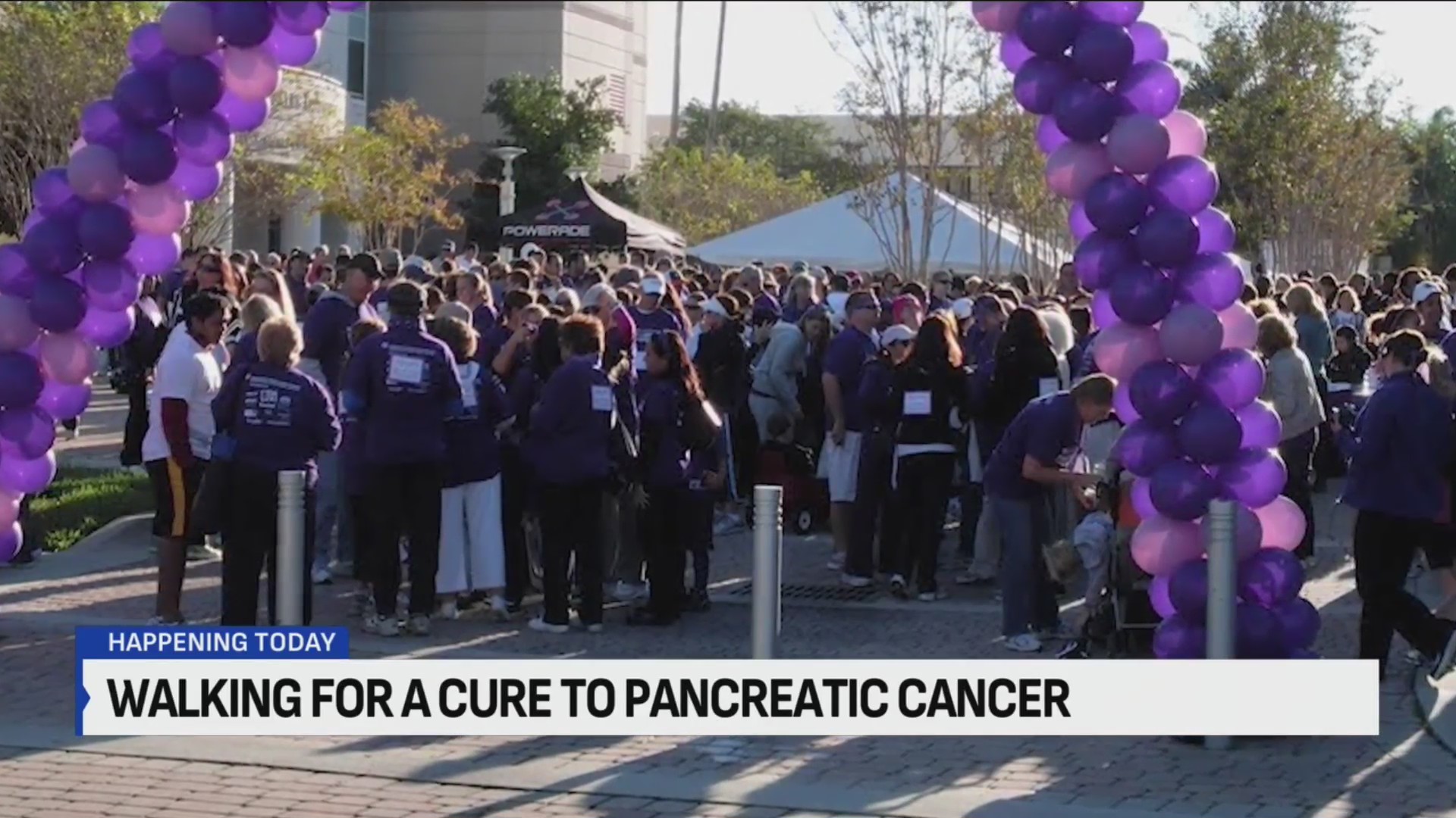 Pancan Purple Stride hosts walk to cure pancreatic cancer – Fox 59