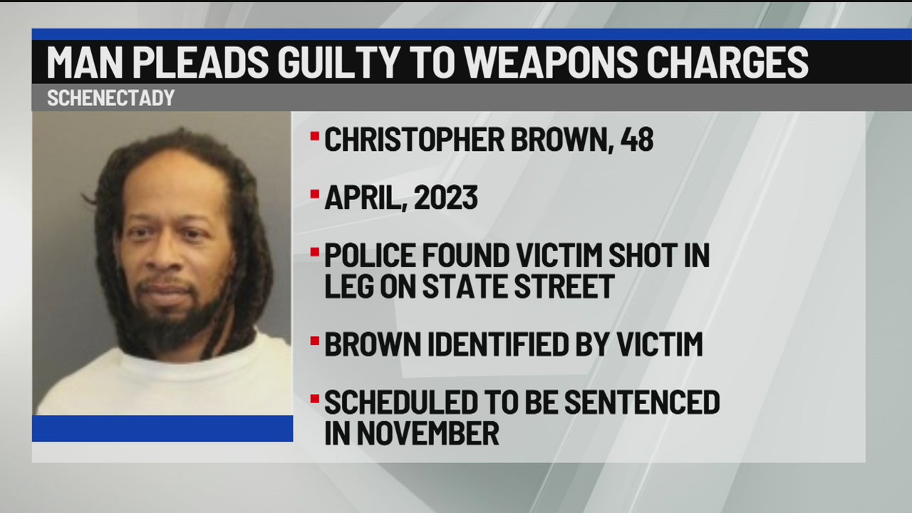 Man pleads guilty to weapons charges – NEWS10 ABC