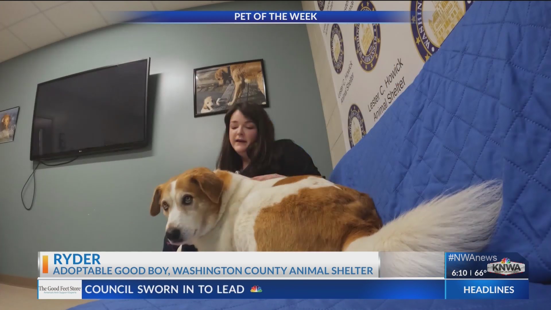 Purina Presents: Meet Ryder in Pet of the Week – KNWA FOX24