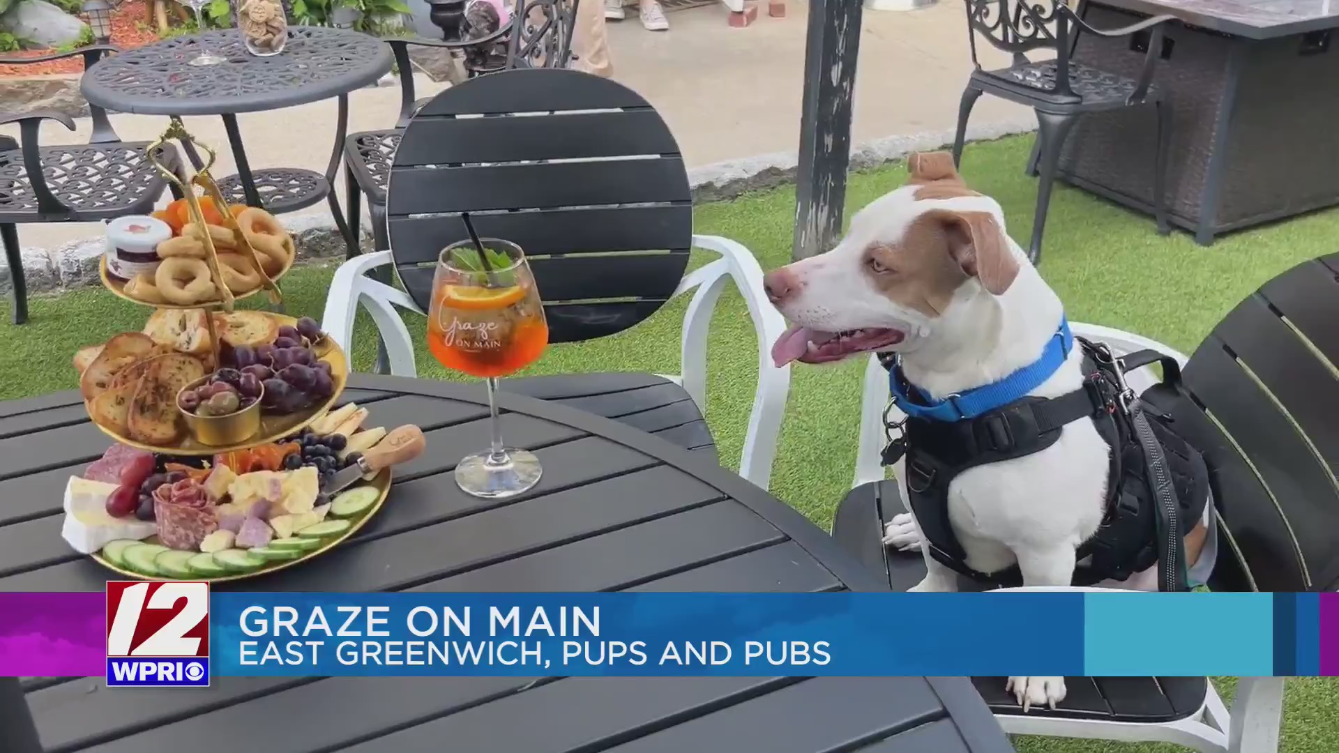 Pups and Pubs: Graze on Main, a hidden wine garden in EG – WPRI.com