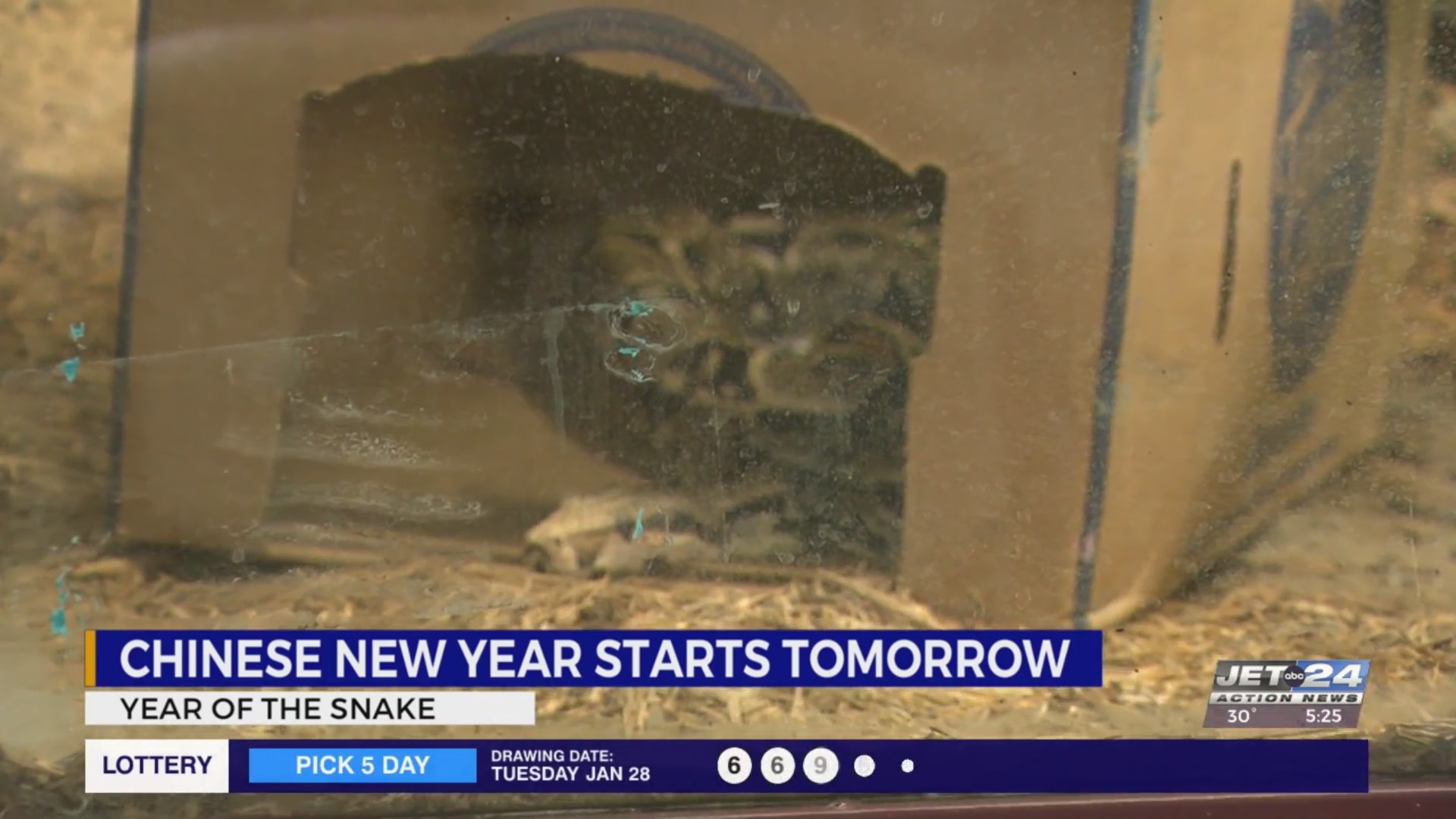 Wild Stuff: Chinese Lunar New Year 2025 – Year of the snake – WJET/WFXP ...