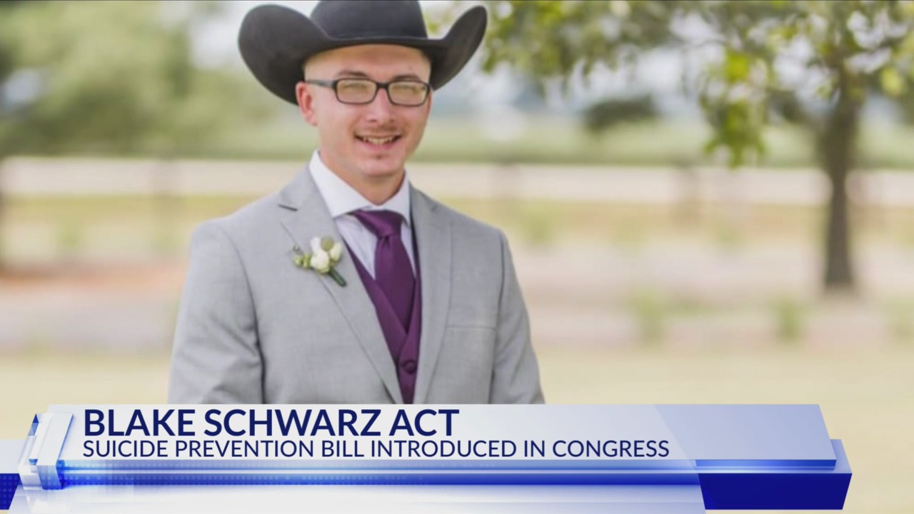 Suicide prevention bill introduced in honor of late Thomson guard ...