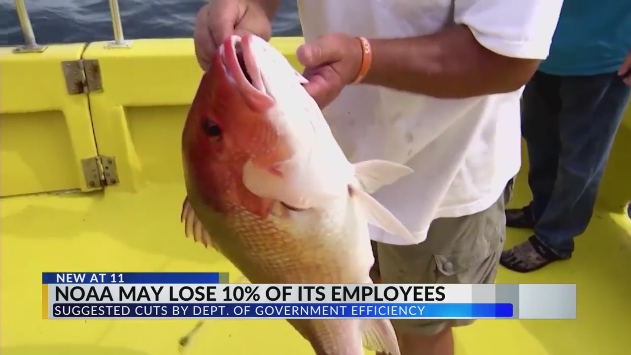 Fishing captain, group react to potential DOGE impacts on NOAA ...