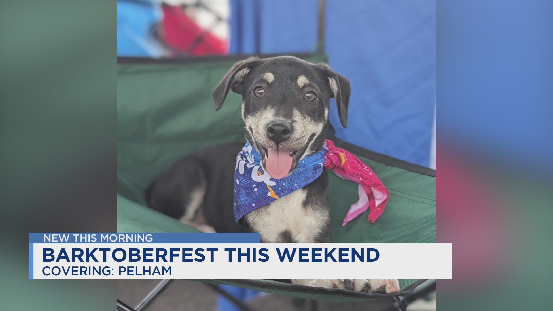 Two By Two Rescue hosting Barktoberfest in Pelham – CBS 42