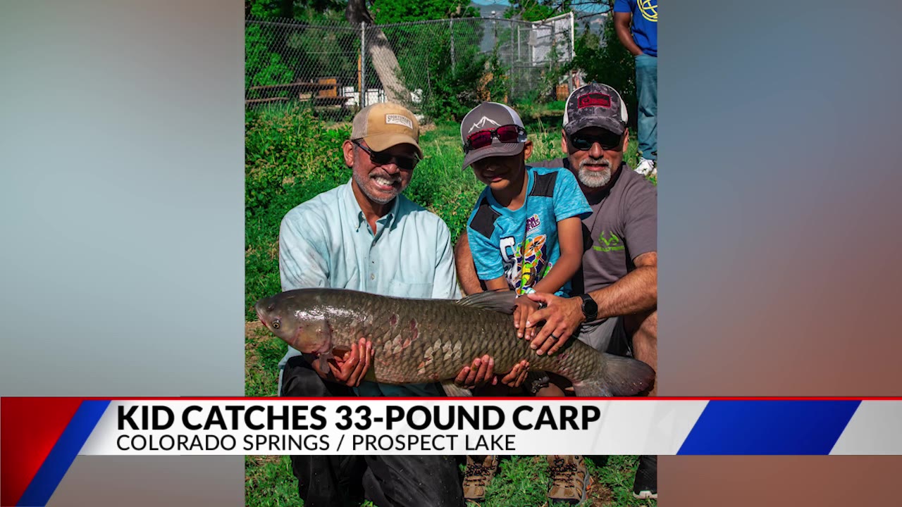 Young angler in Colorado Springs reels in 33-pound carp on National Go ...