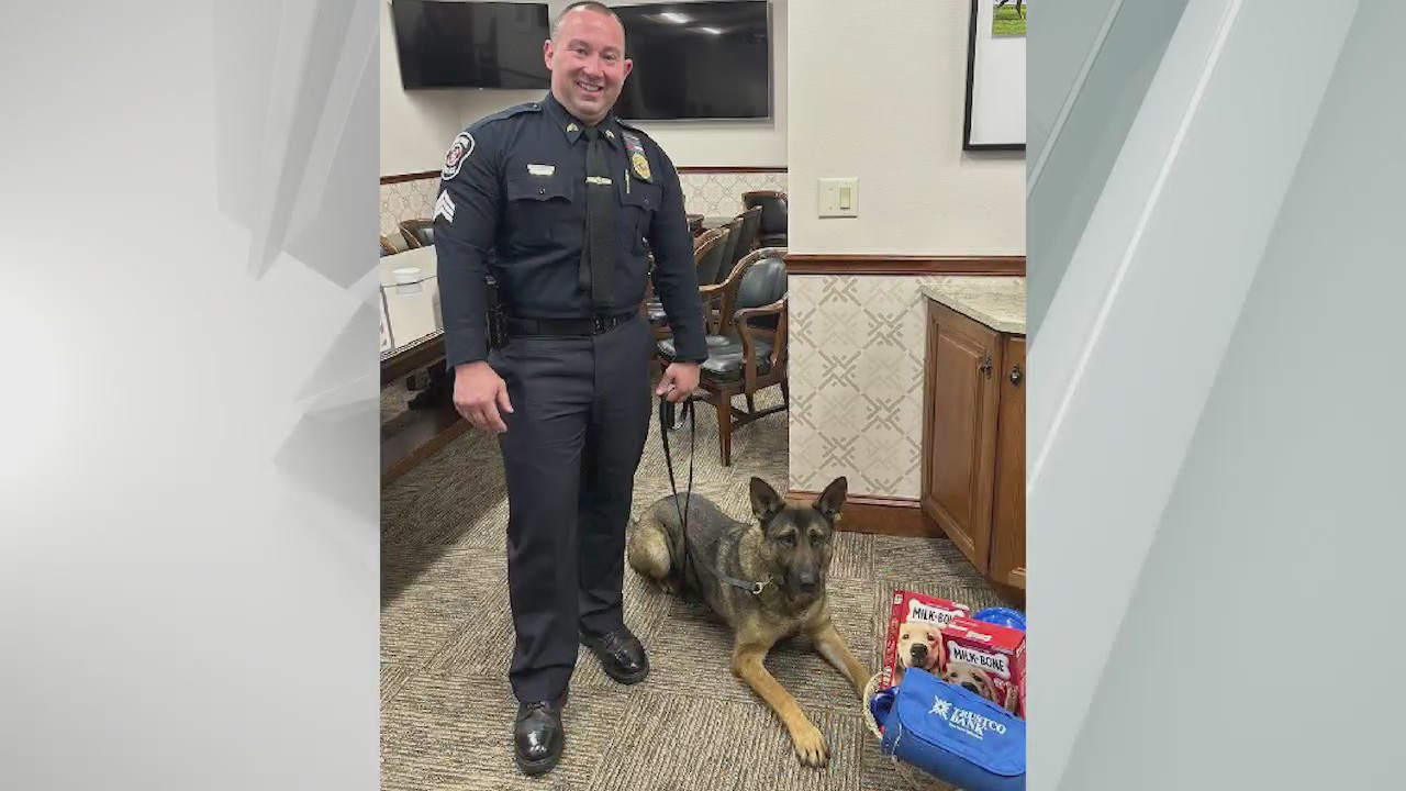 K9 honored for tracking down bank robbery suspect – NEWS10 ABC
