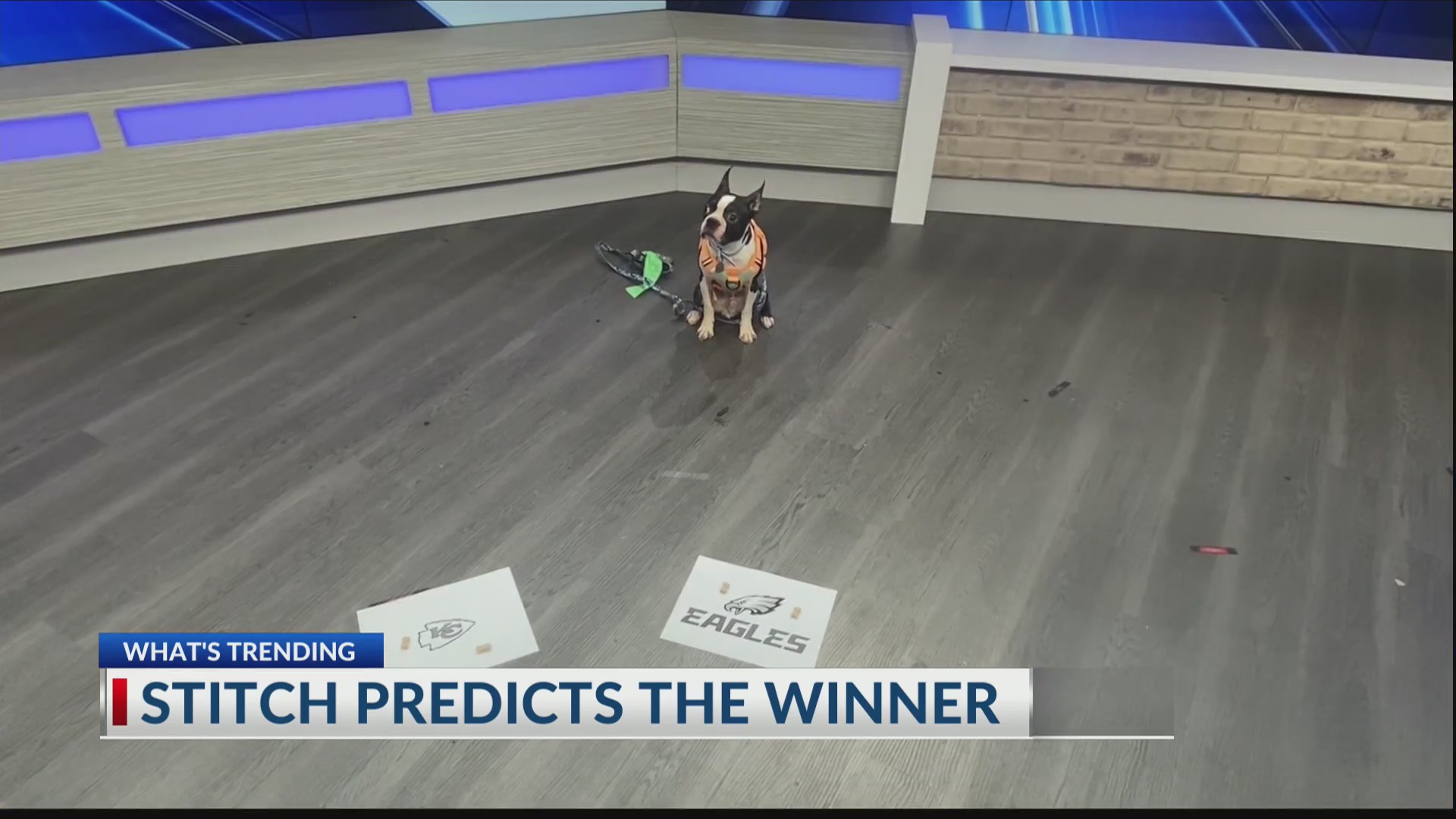 What’s Trending: Stitch picks the Super Bowl winner – WSAV-TV
