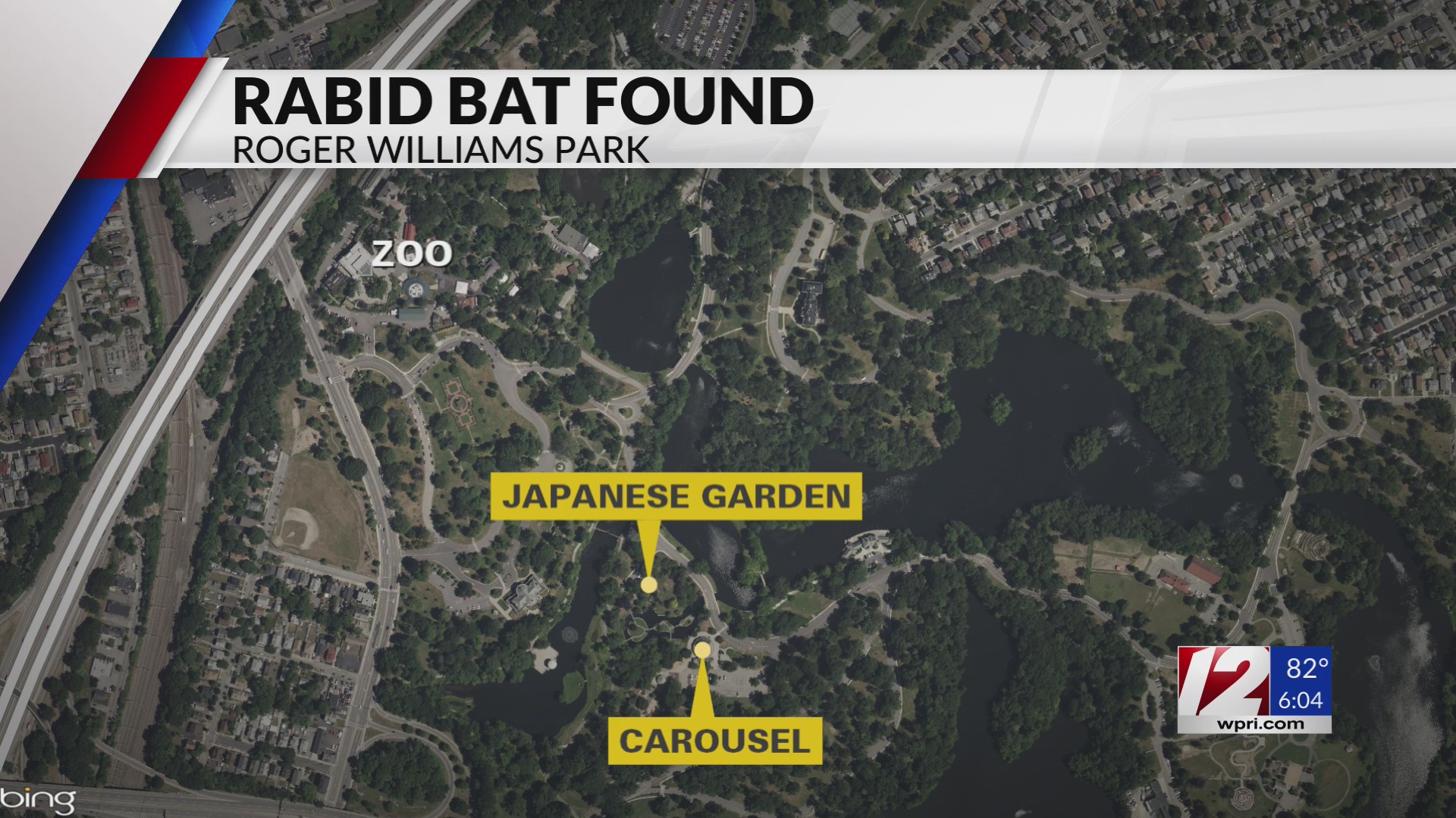Bat from Roger Williams Park tests positive for rabies – WPRI.com
