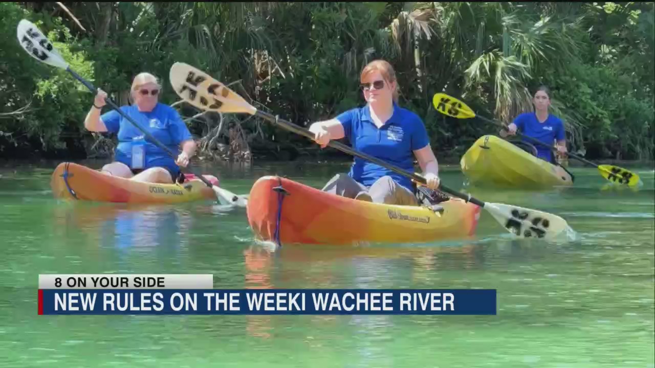 Obvious shoreline damage sparks new rules, fines on the Weeki Wachee ...