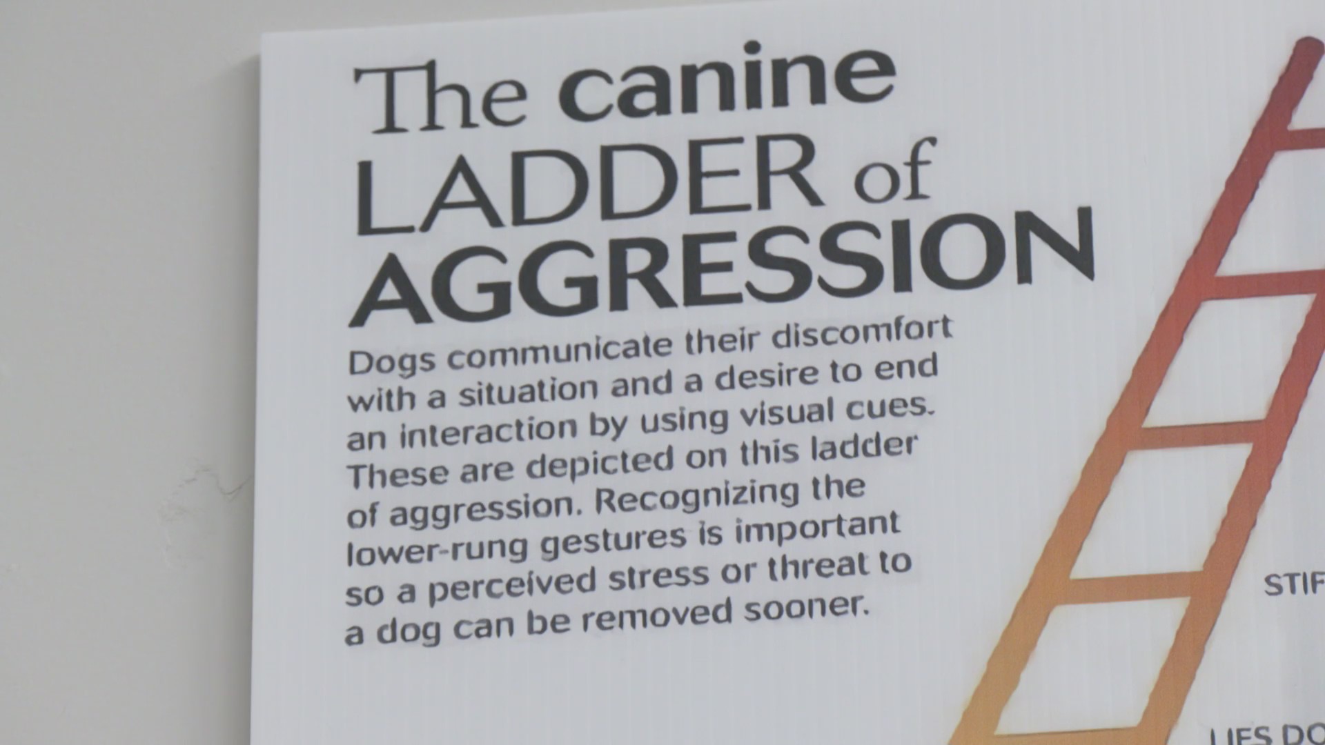 Dog attacks: Prevention is key, experts say – MyStateline | WTVO WQRF ...