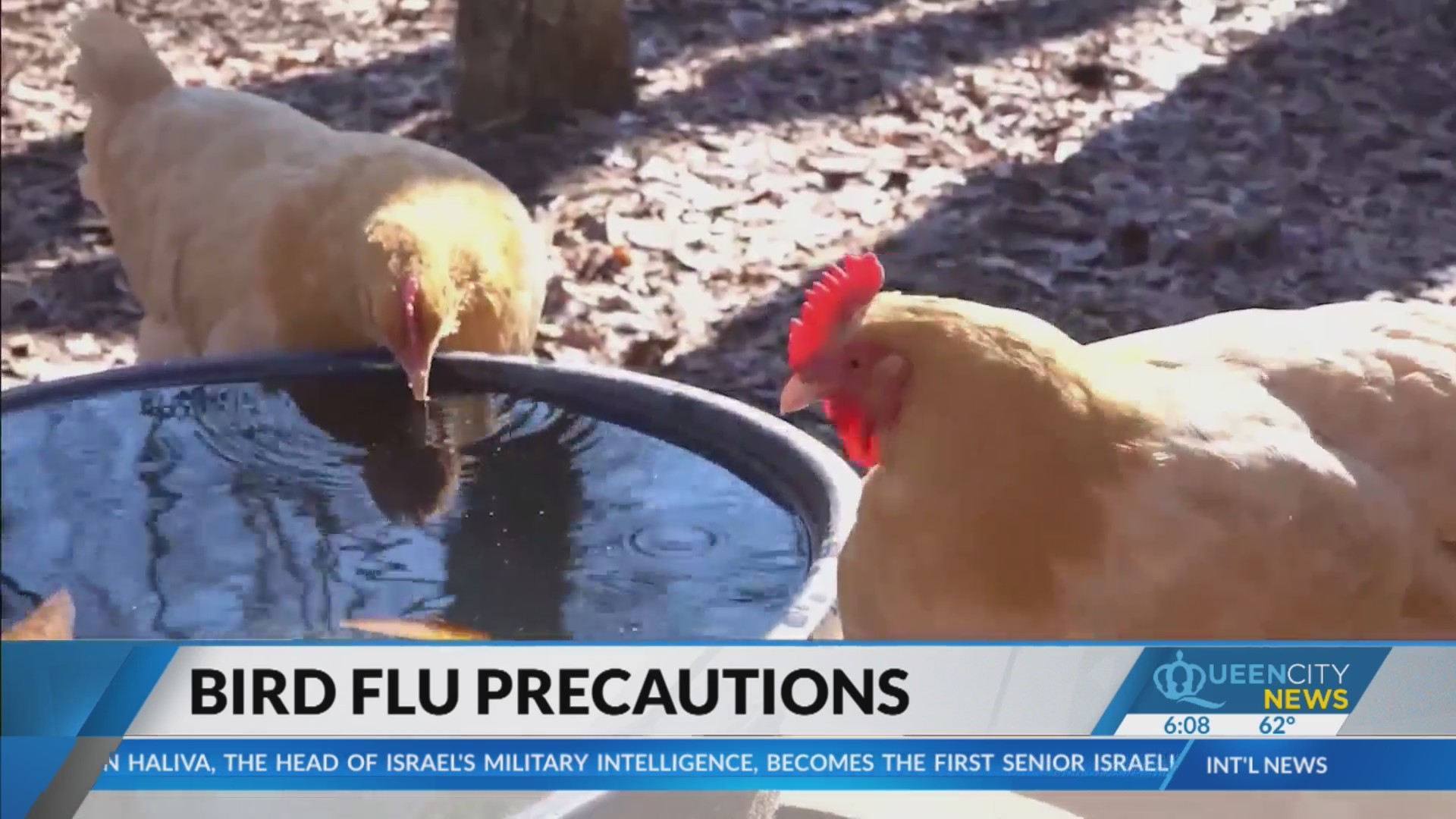 Farmers make adjustments amid bird flu concerns – Queen City News
