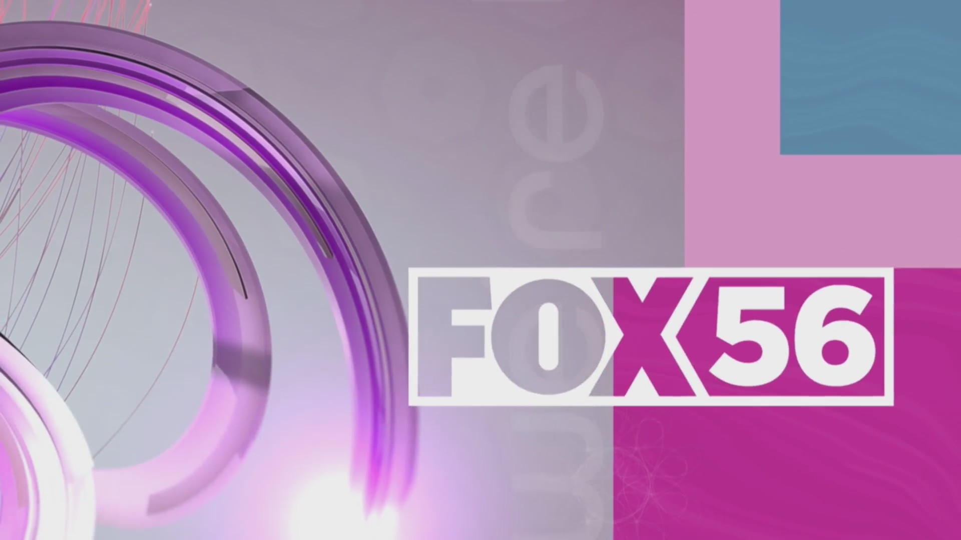 Treasured Pets Fine Art Portraits – FOX 56 News