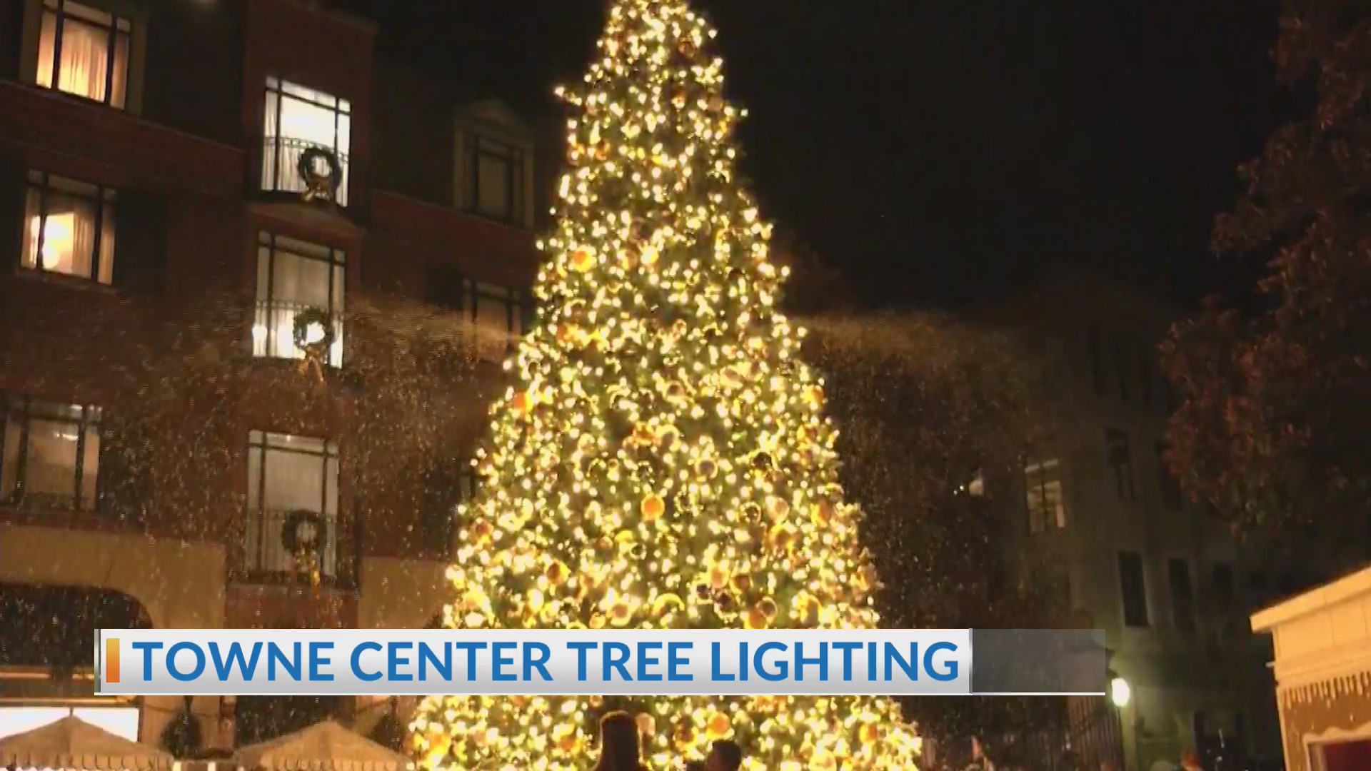 Towne Center Tree Lighting – WCBD News 2