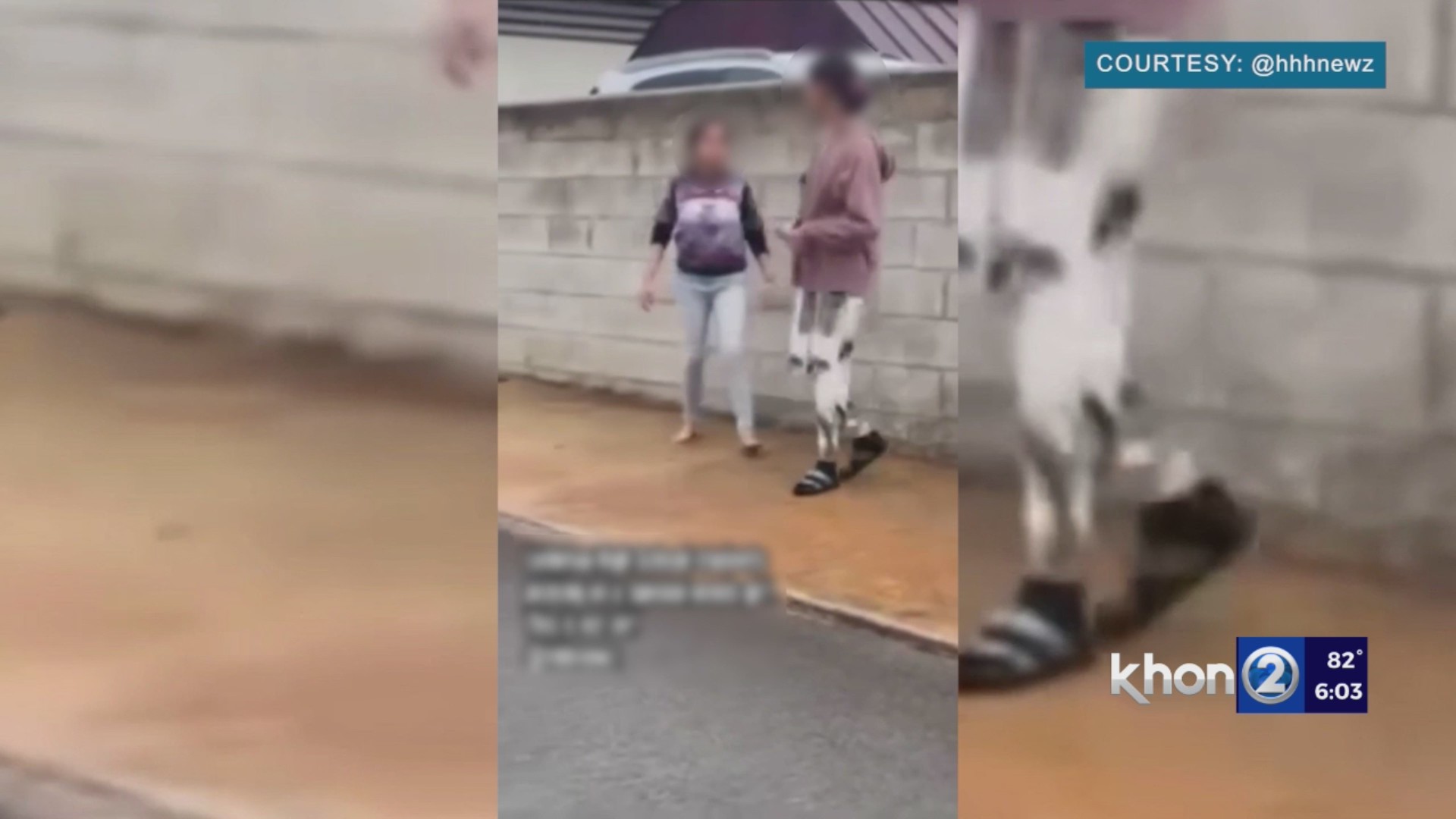 Viral Wahiawa bully video sparks community outrage – KHON2