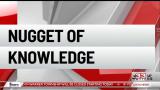 Nugget of Knowledge: Throwing salt over the shoulder superstition