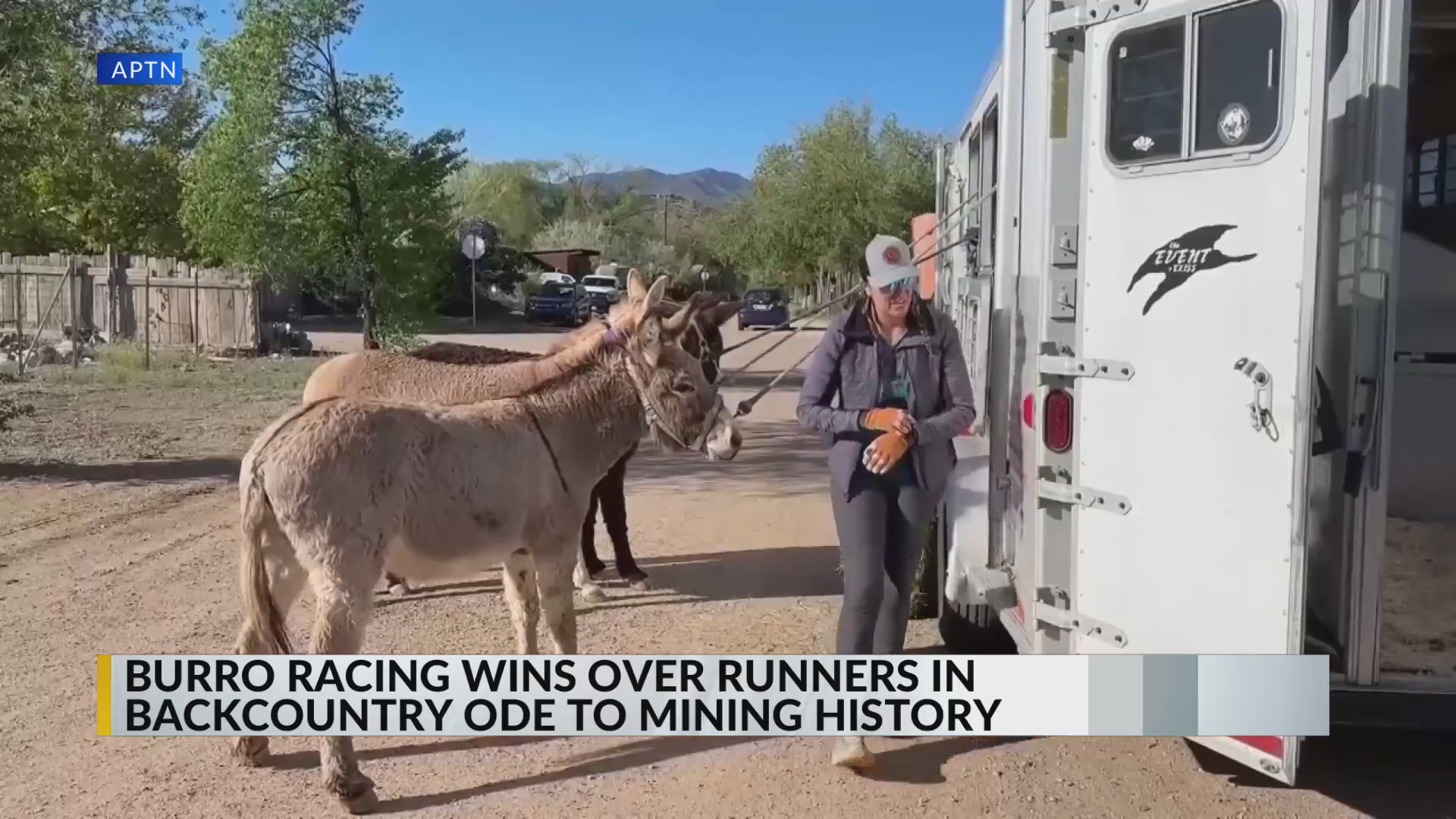 ‘It’s great running with a companion’: Cerrillos burro racing teams ...