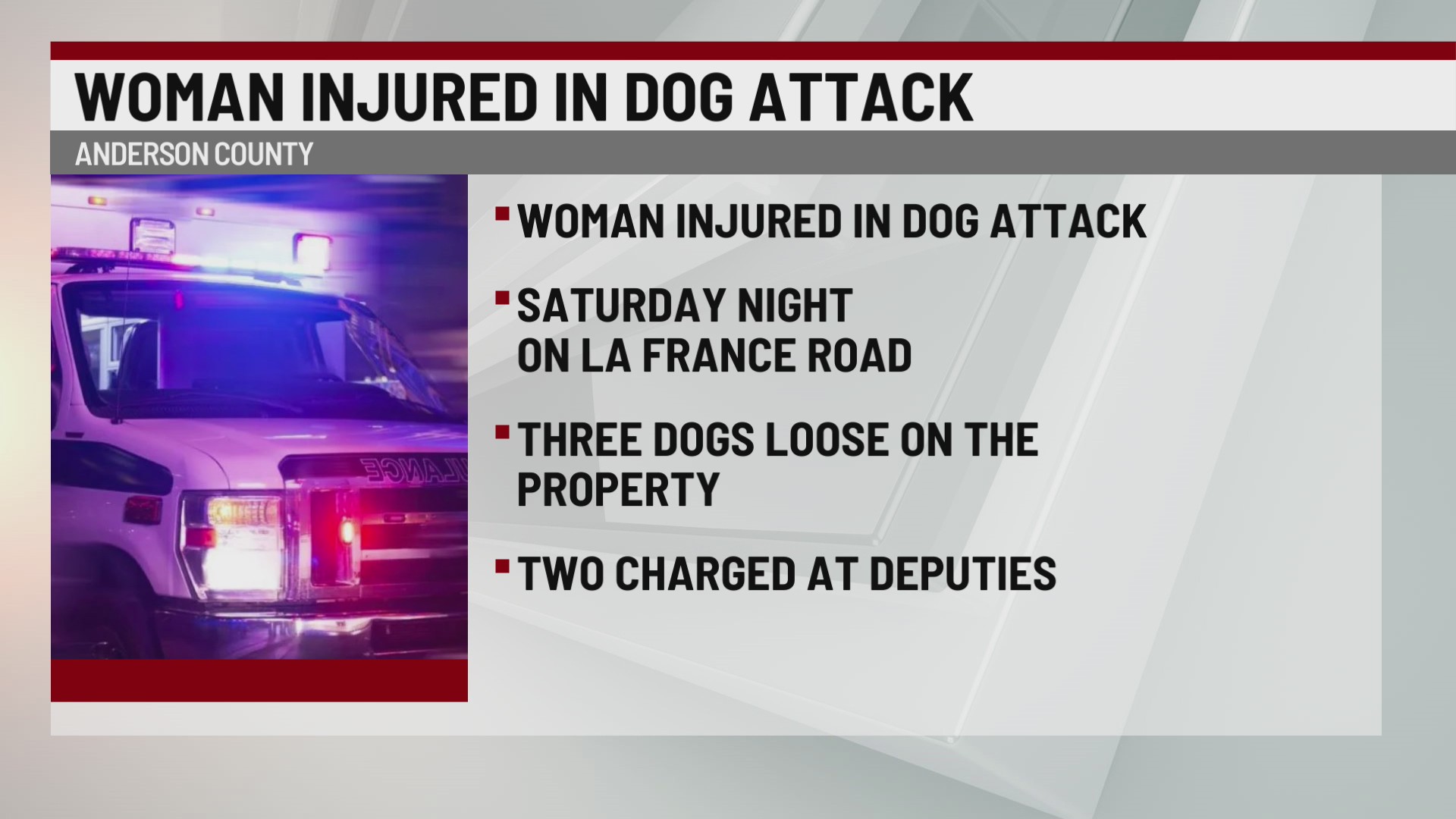 Woman attacked by dogs in Anderson Co. – WSPA 7NEWS