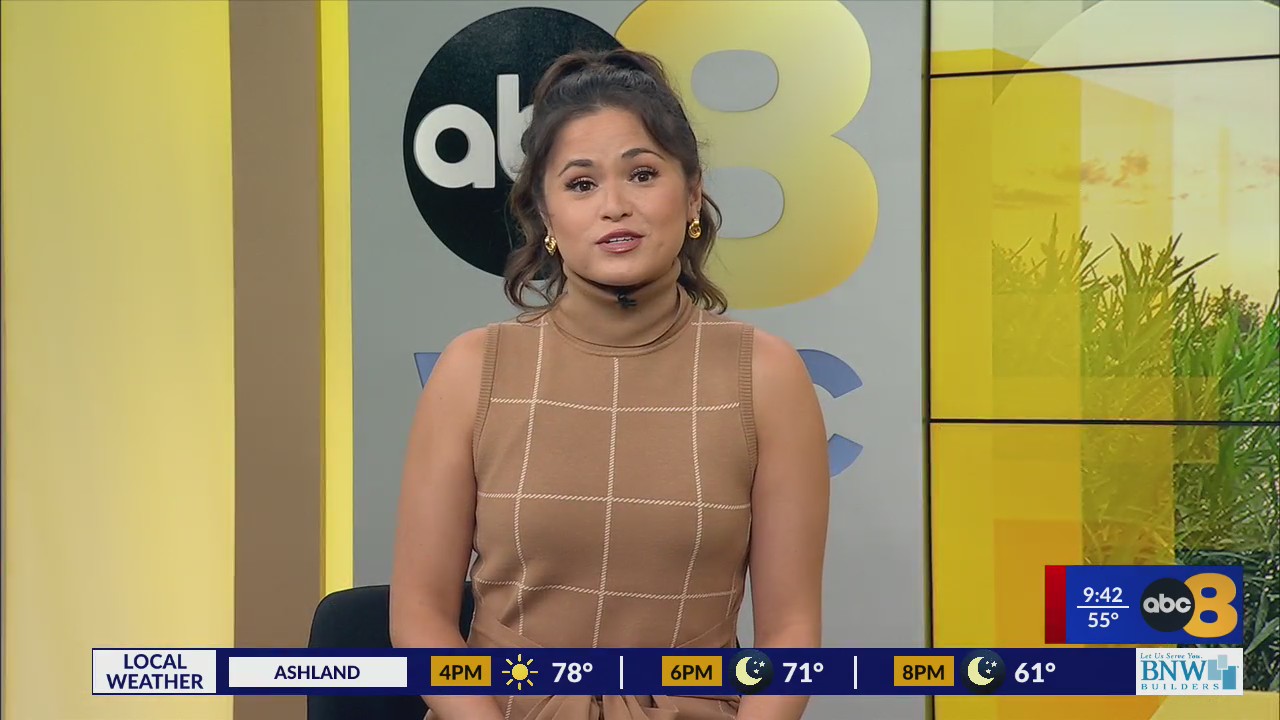 Walk to End Alzheimer’s Live Studio Interview – WRIC ABC 8News