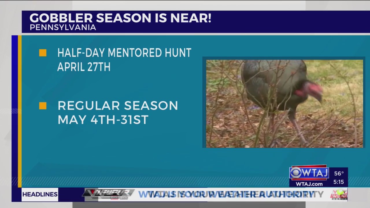 Pennsylvania’s gobbler season is near! Here’s what you need to know ...