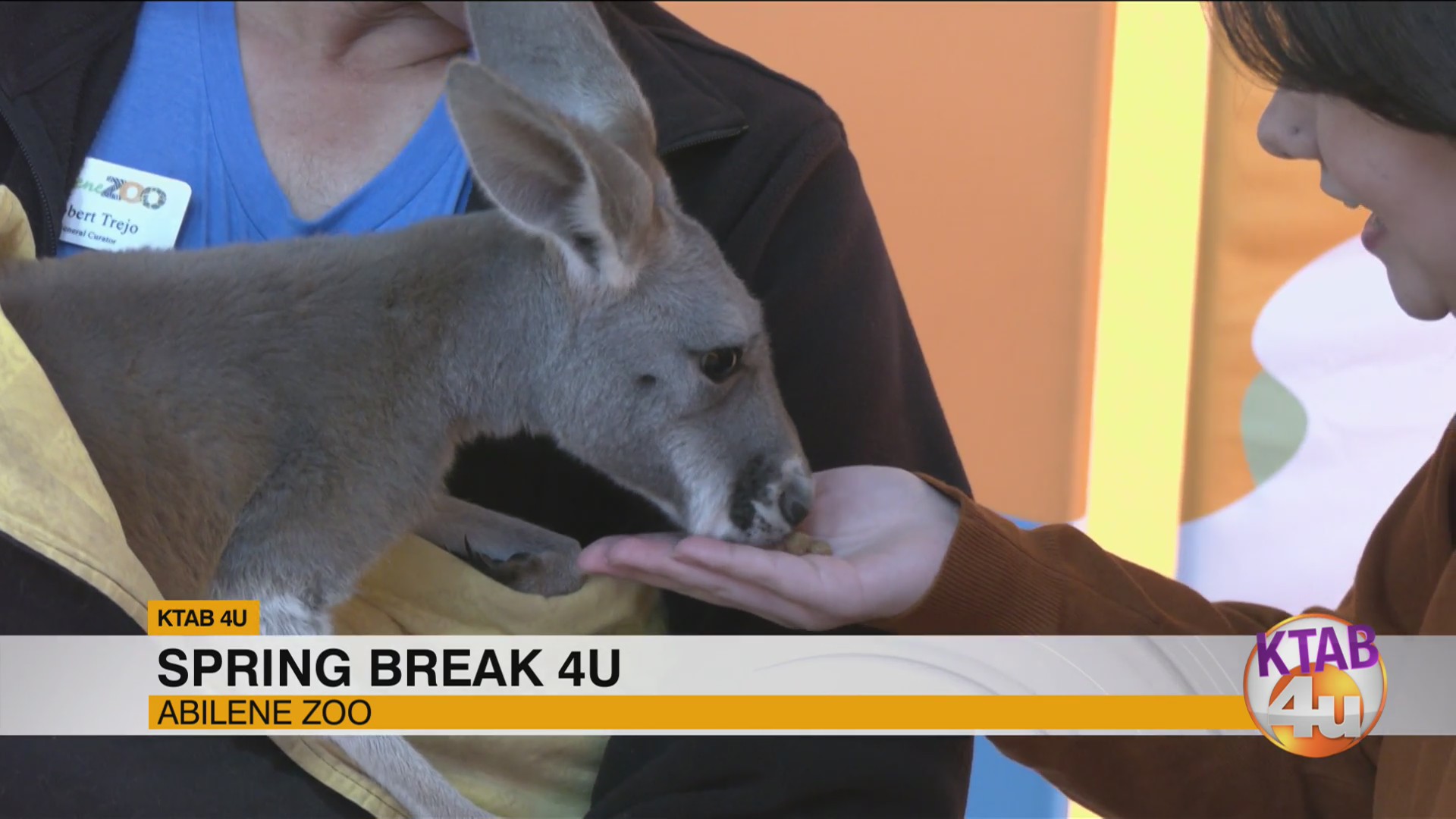 Wild Days Returns to Abilene Zoo for Spring Break 2025 – KTAB ...