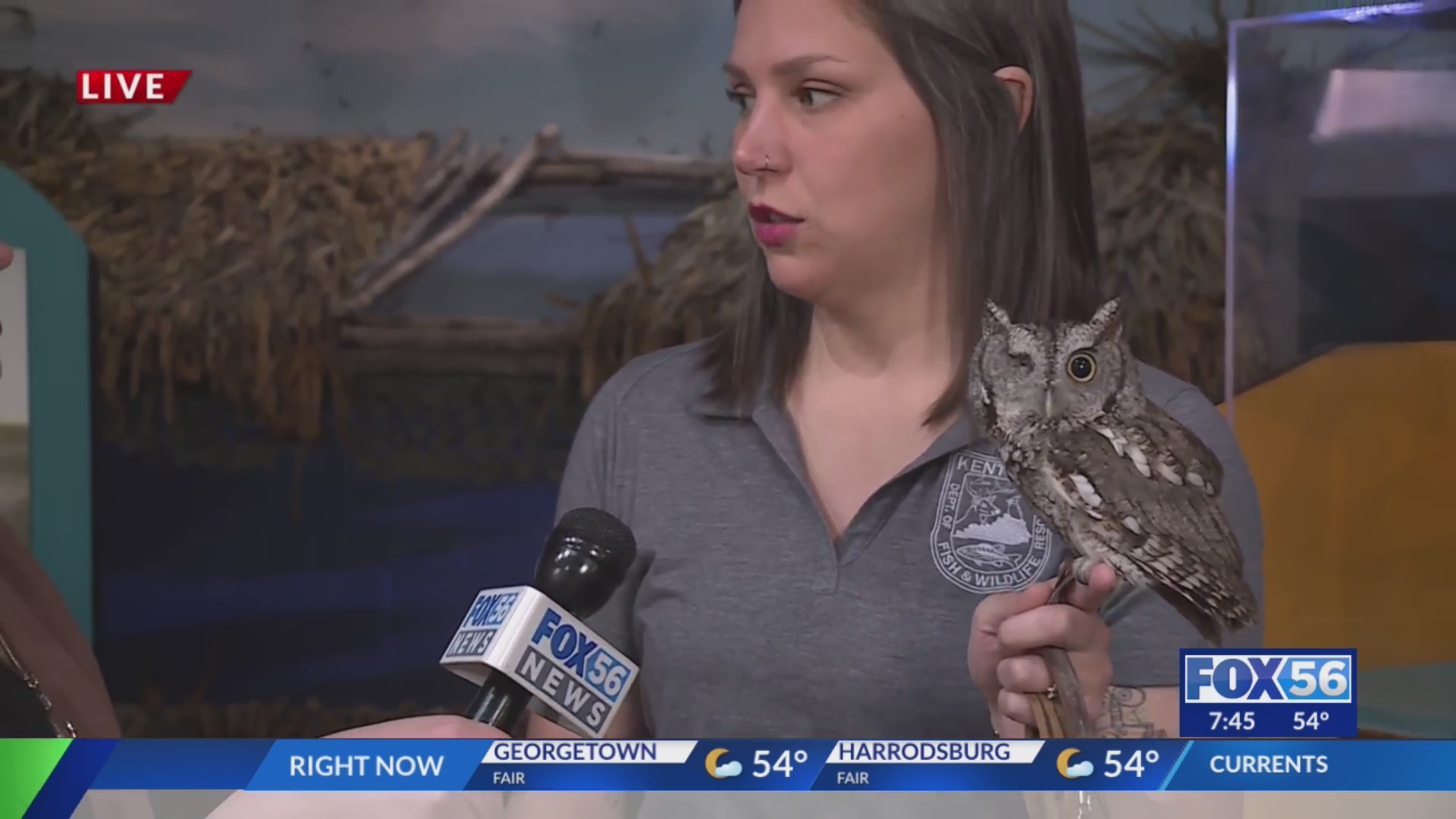 Kentucky wildlife education center back open for 2025 season – FOX 56 News