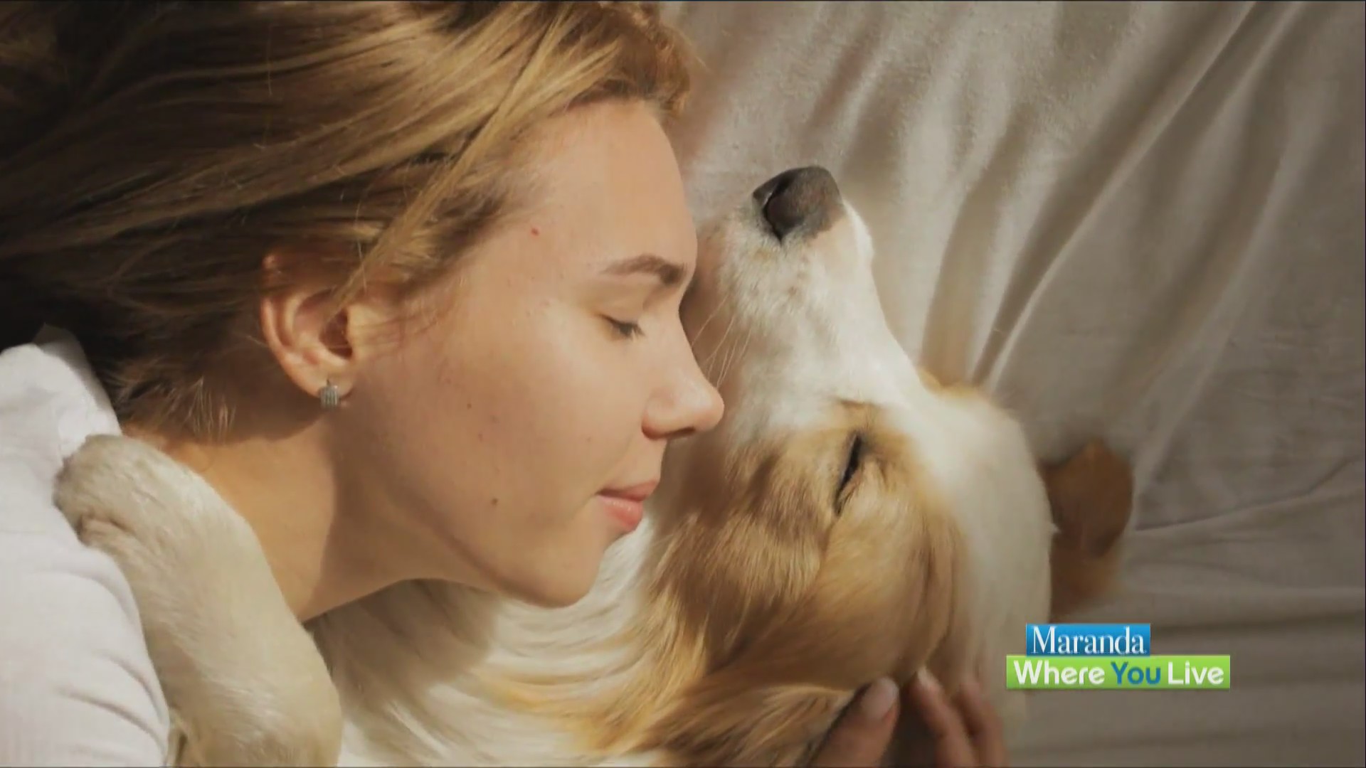 Care and companionship: The pawsitive impact of pets in our lives ...