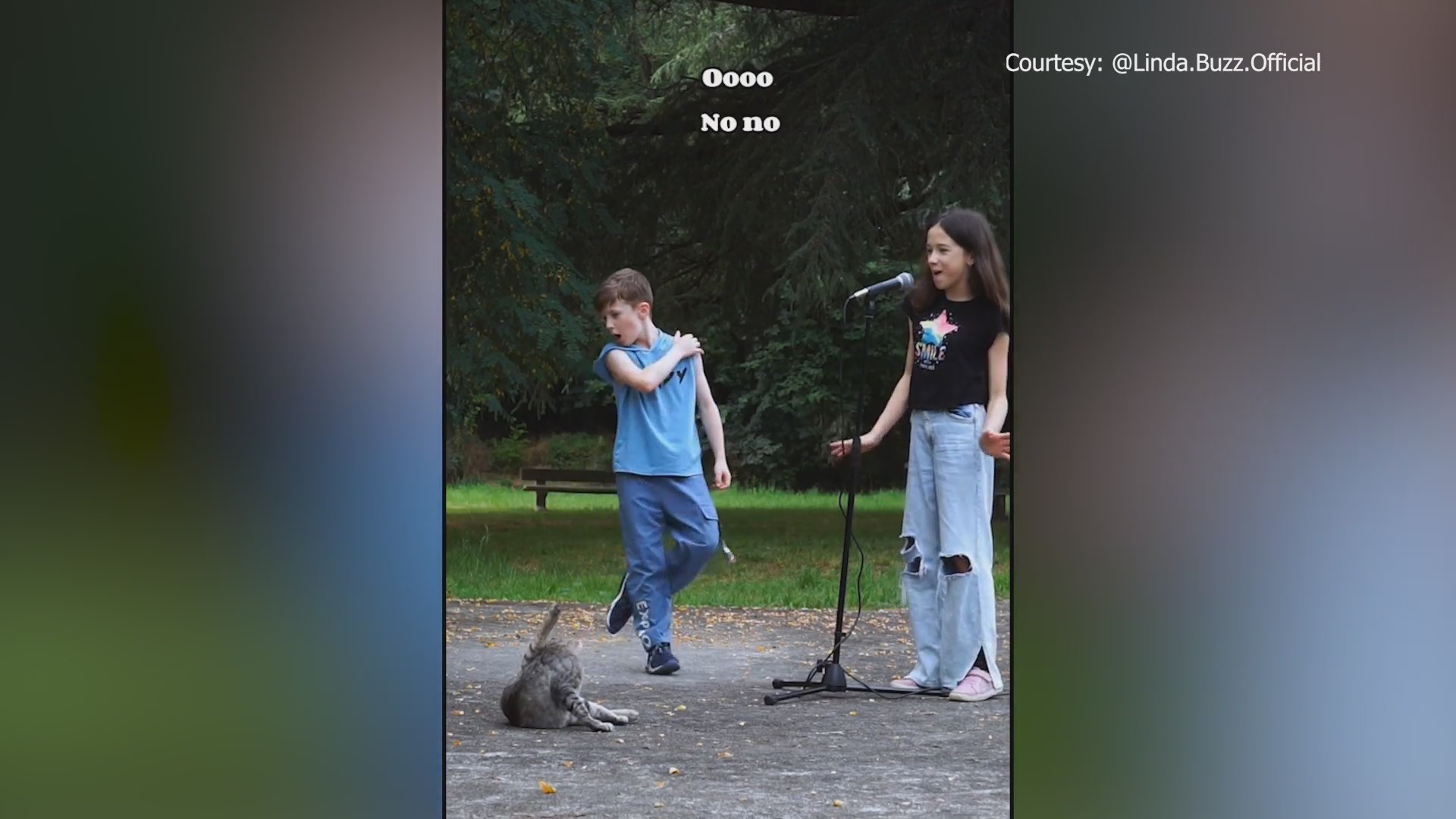 Viral Sibling Duo, Linda & Luiss Buzz – WGN-TV