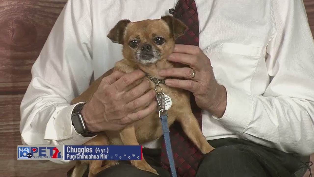 Chuggles – NEWS10 ABC