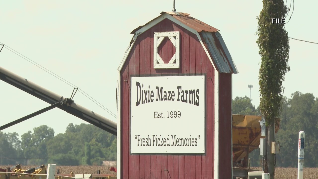 Dixie Maze closing after 25 years, plans epic final Fall Festival ...