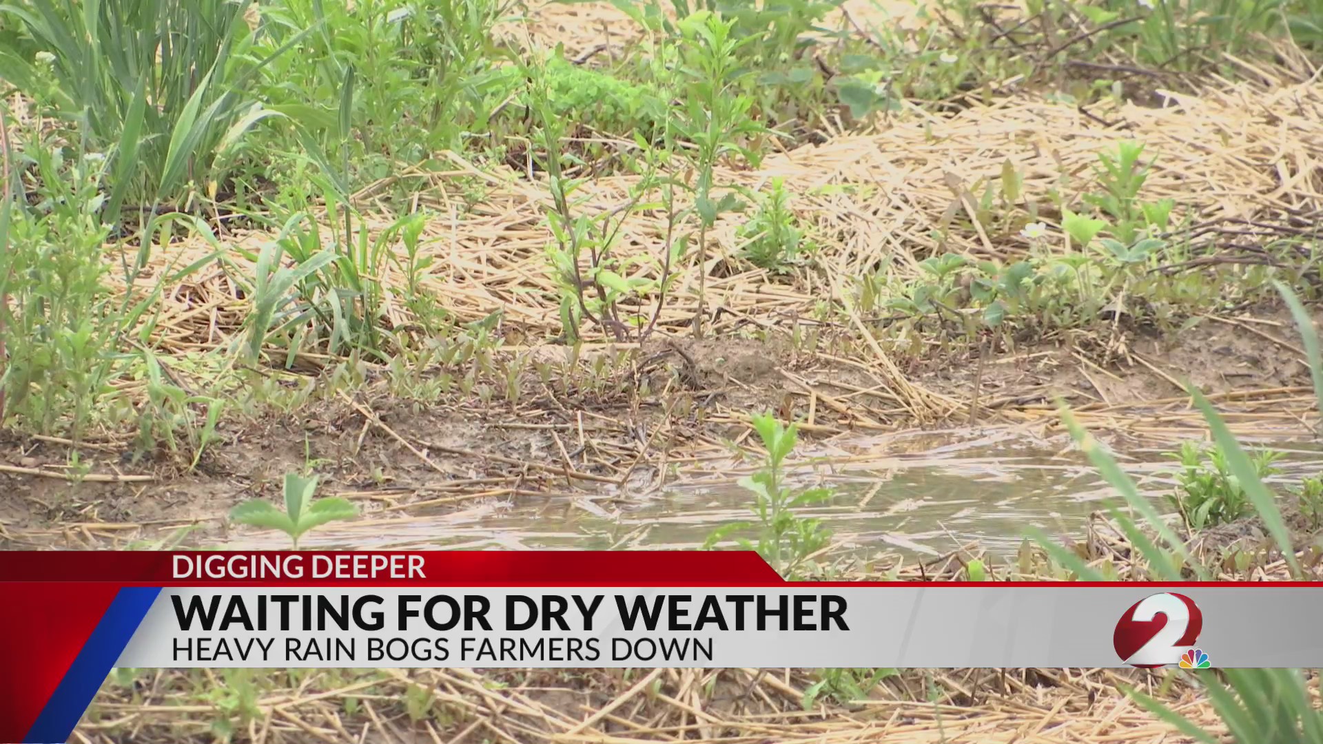 Continuous rain leaves farmers waiting for fields to dry out – WDTN.com