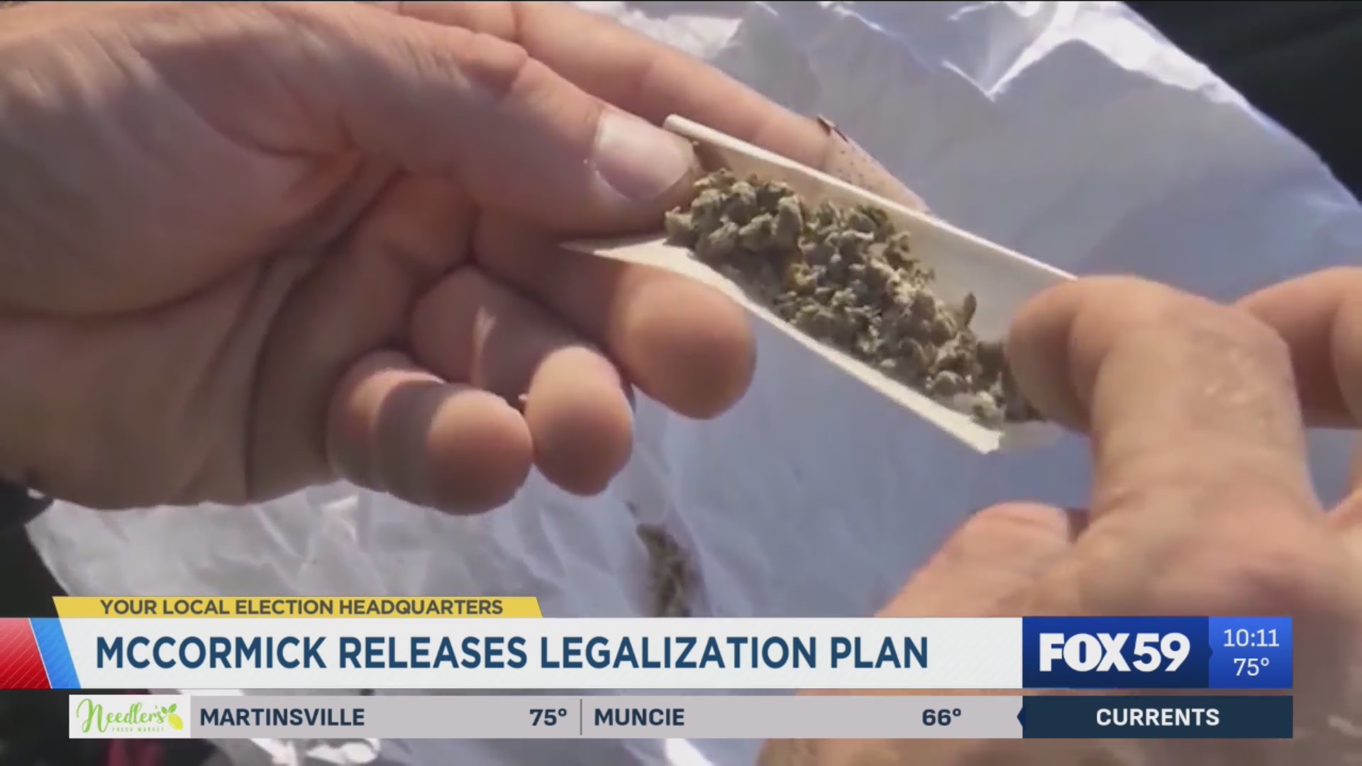 McCormick/Goodin campaign introduces ‘common sense’ cannabis plan – Fox 59