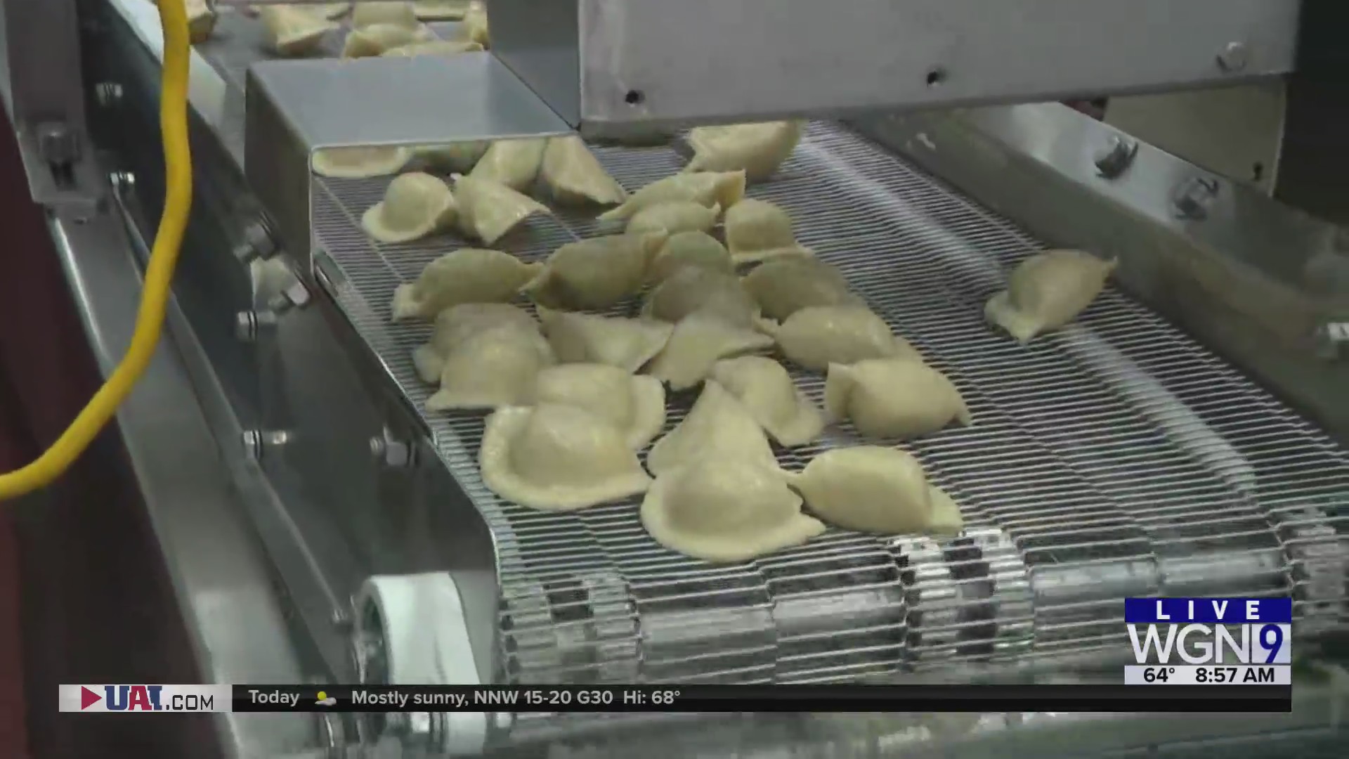 Around Town – Alexandra Foods – WGN-TV