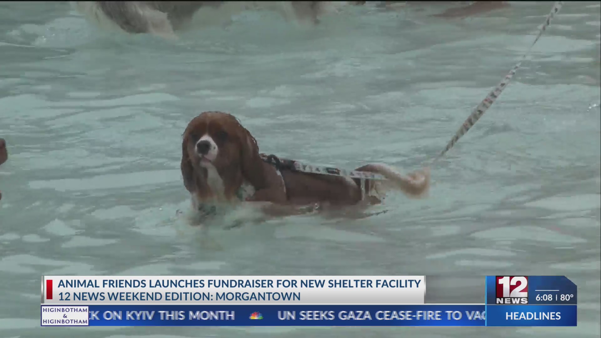 Animal Friends launches fundraiser for new Morgantown shelter – WBOY.com