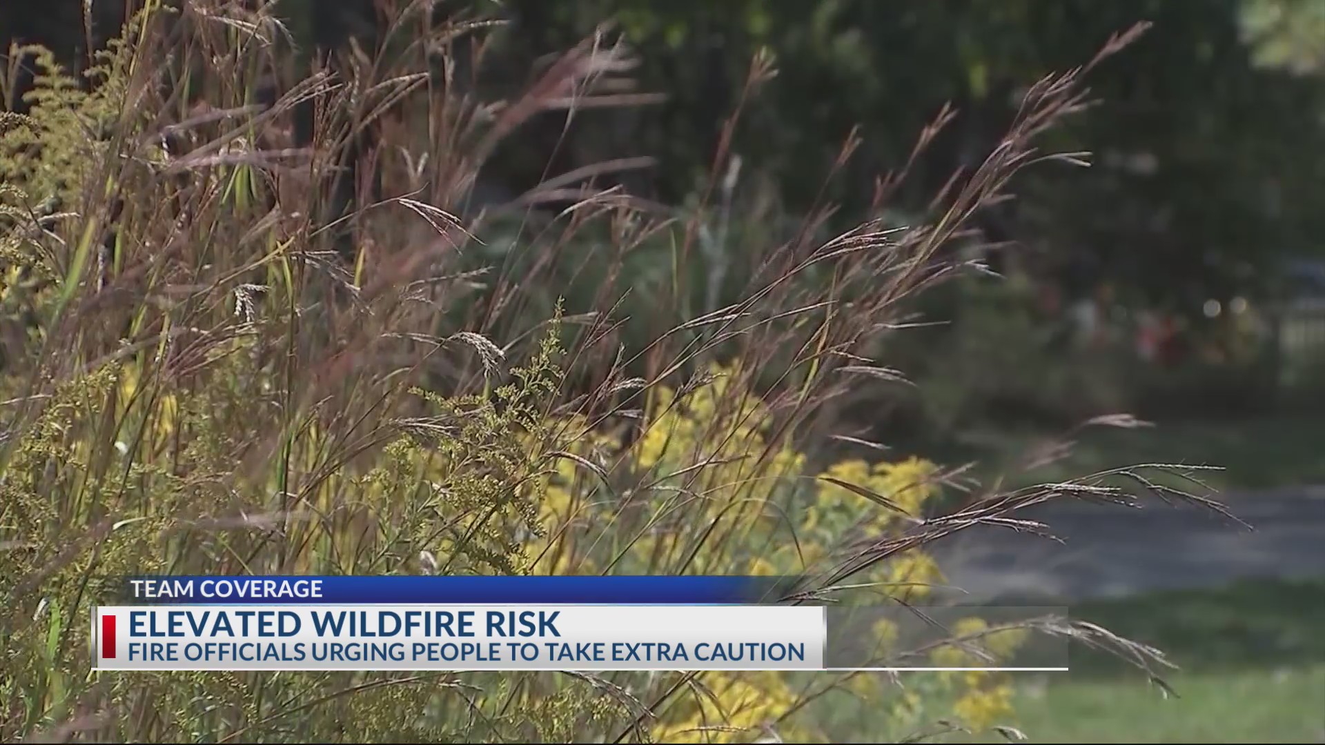 Dry spell leads to heightened wildfire risk in Ohio – NBC4 WCMH-TV