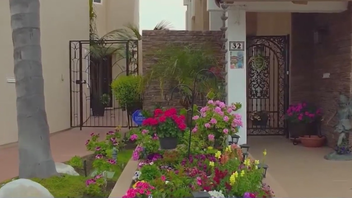 Coronado Flower Show: All you need to know – FOX 5 San Diego & KUSI News