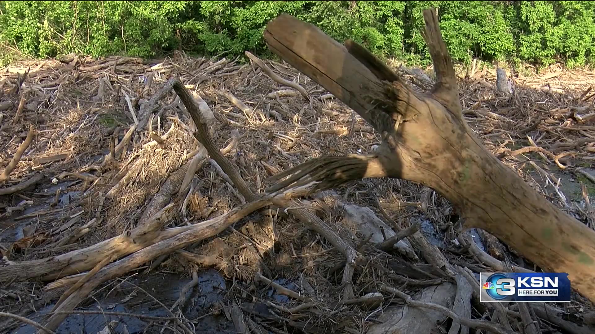 Salina faces high cost to clear log jam after June flooding – KSN-TV