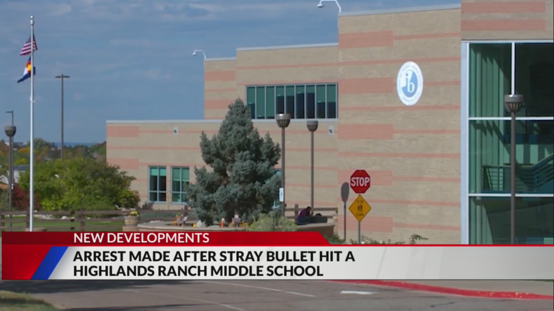 Man accused of illegally discharging a gun after stray bullet hits ...