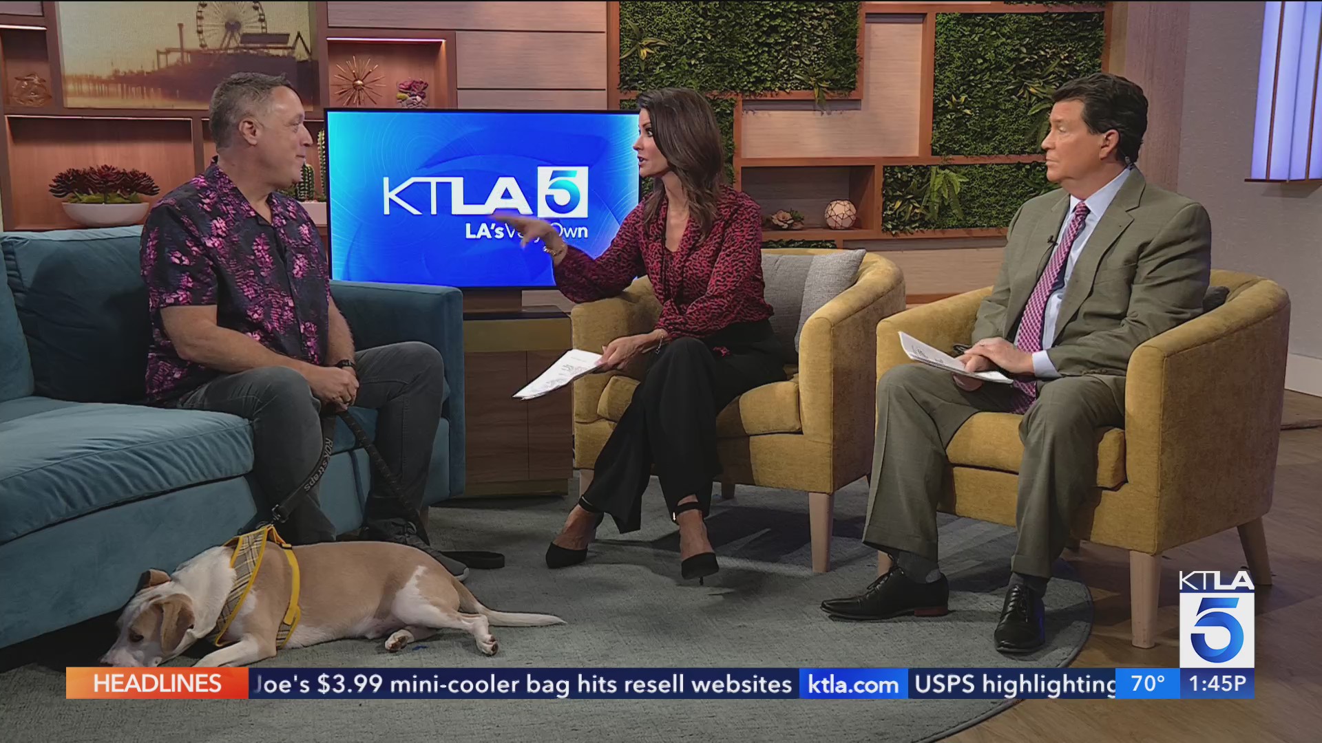 Michael Levitt shares details on the first-ever Stanley Pup Rescue Dog ...