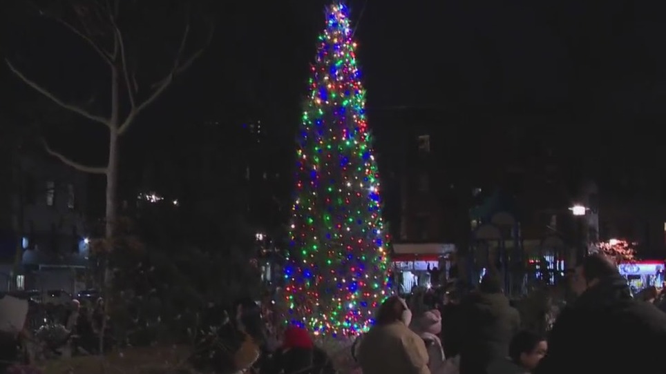Tree lighting held at Ciccarone Park in the Bronx – PIX11
