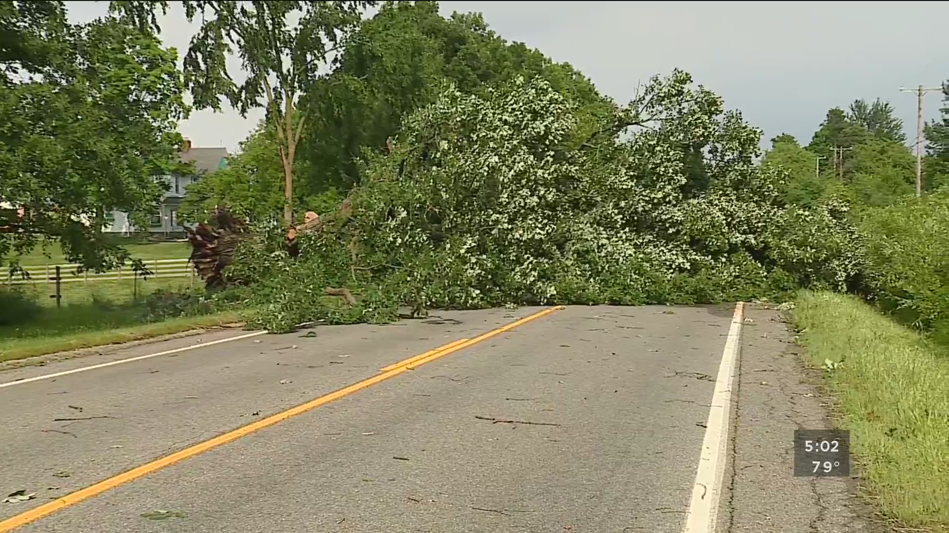 Fallen tree blocks Cascade Road after storm – WOODTV.com