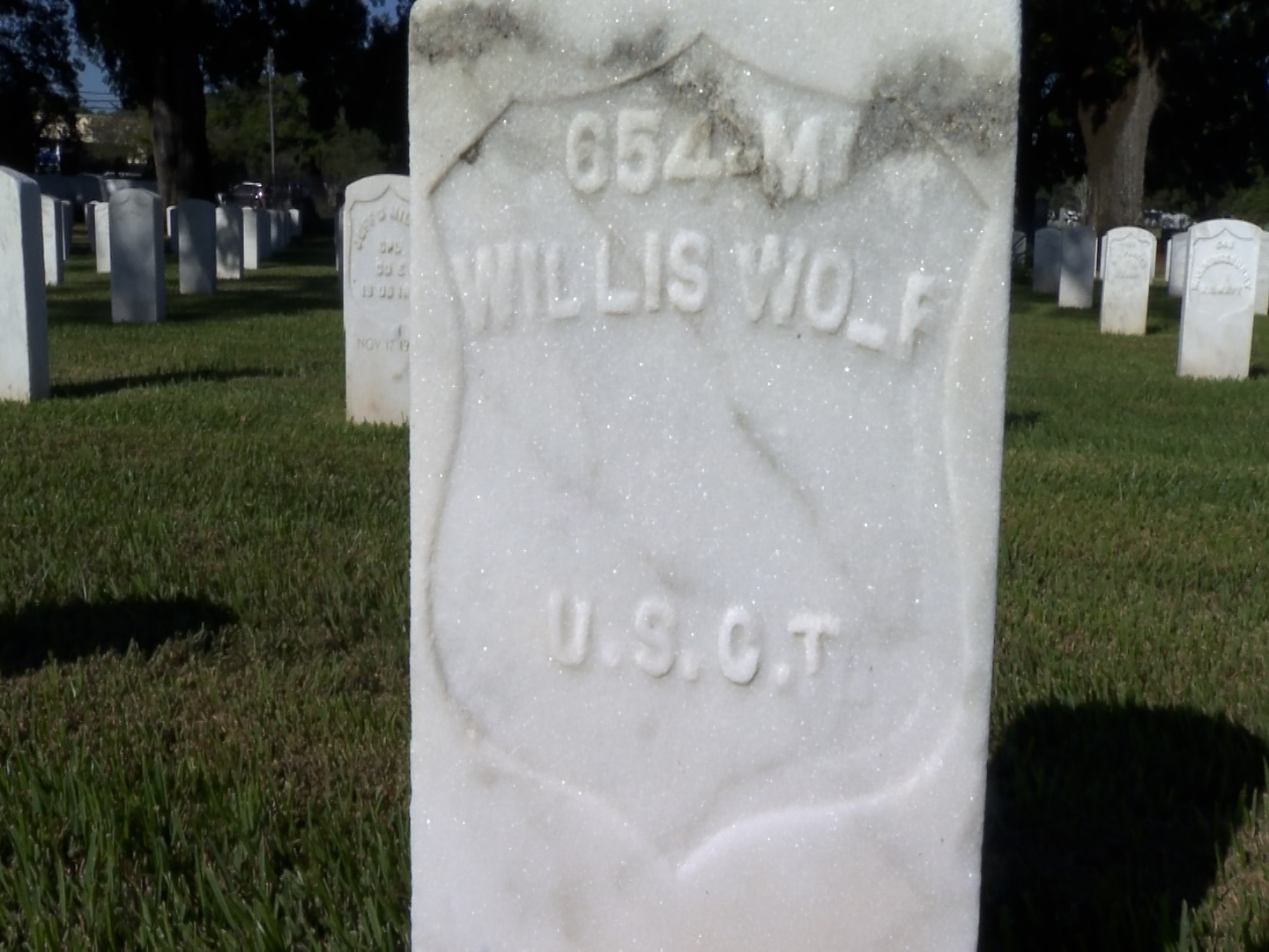 Serving Those Who Serve: The role of African-American soldiers during ...