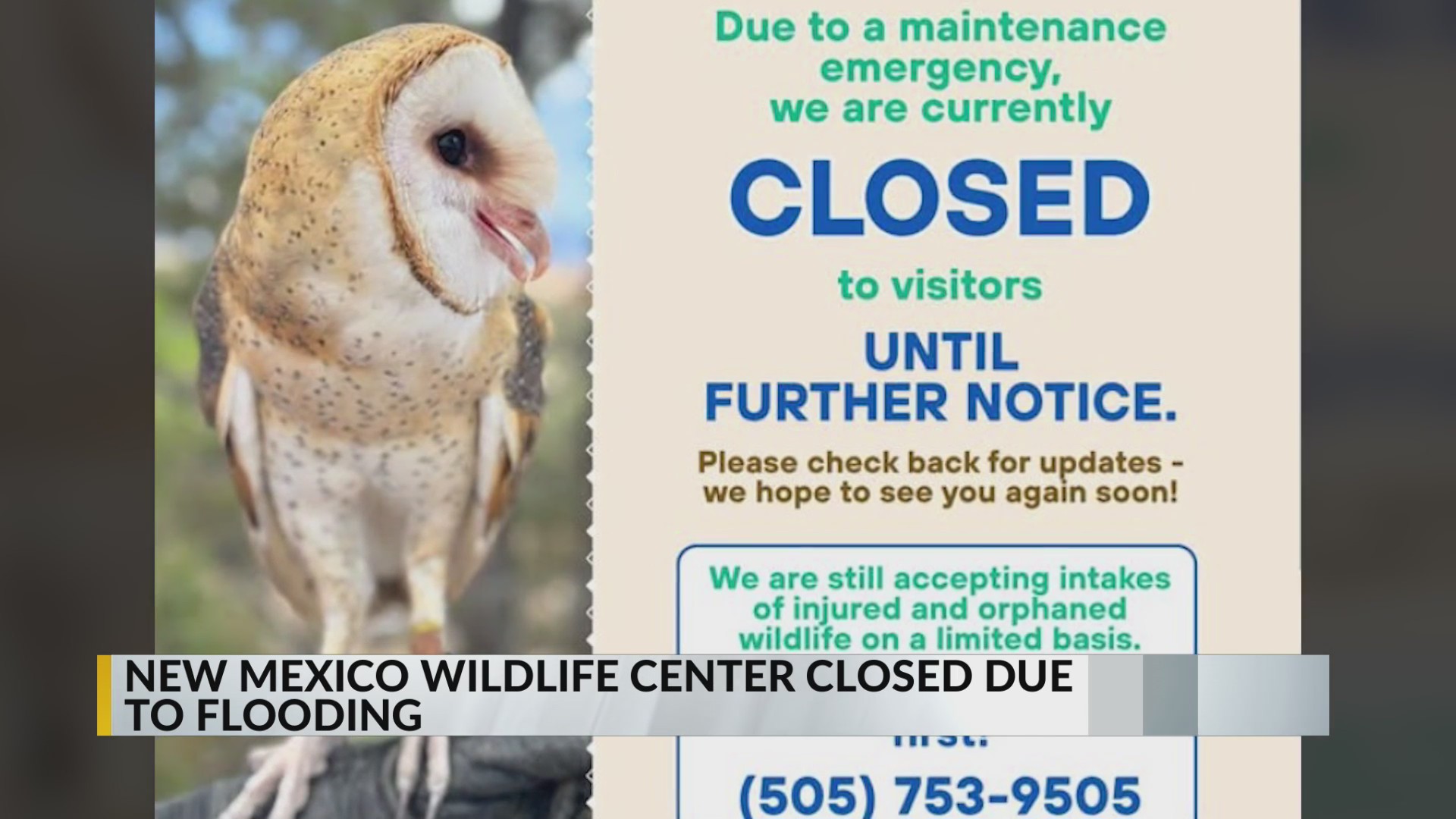 New Mexico Wildlife Center closed due to flooding – KRQE NEWS 13 ...