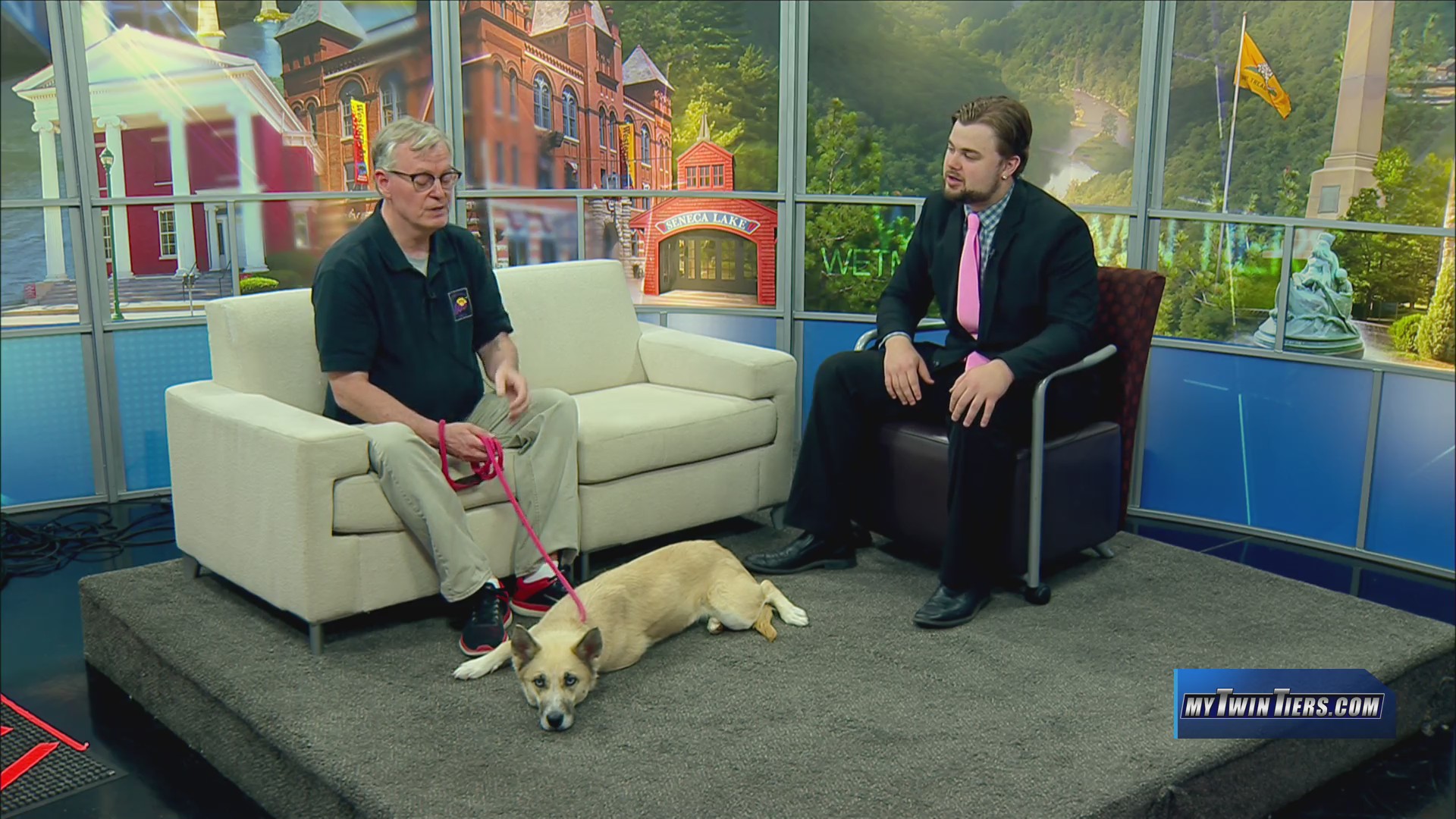 Pet of the Week: Yote, Finger Lakes SPCA – WETM – MyTwinTiers.com
