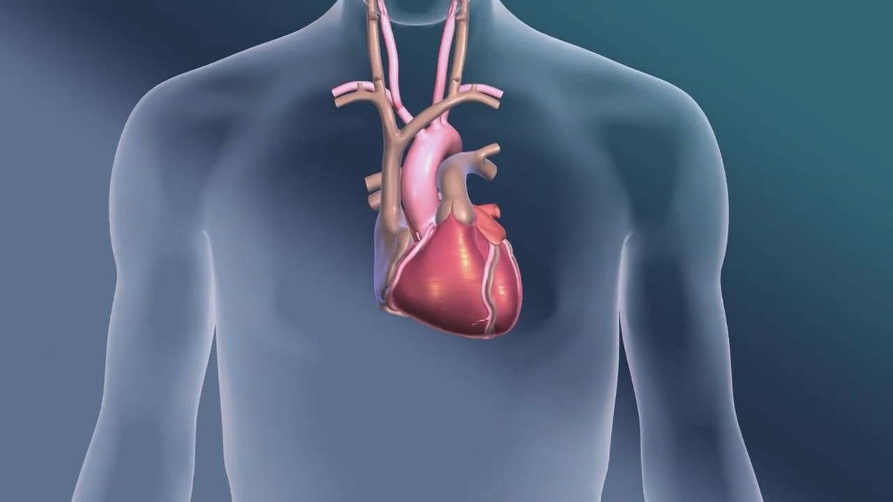 New device helps treats AFib at St. Peter’s – NEWS10 ABC
