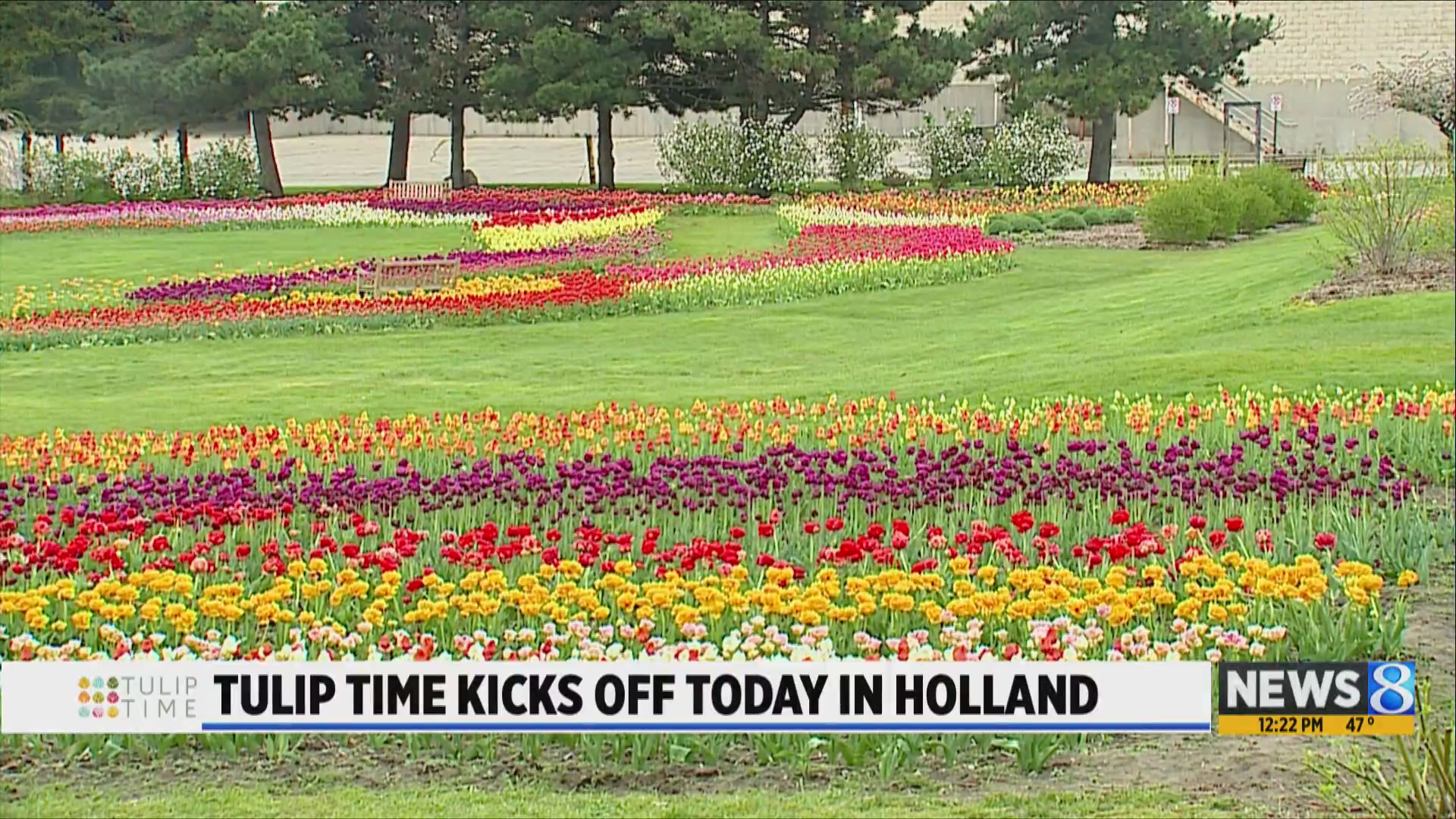 Tulip Time 2025 kicks off – WOODTV.com