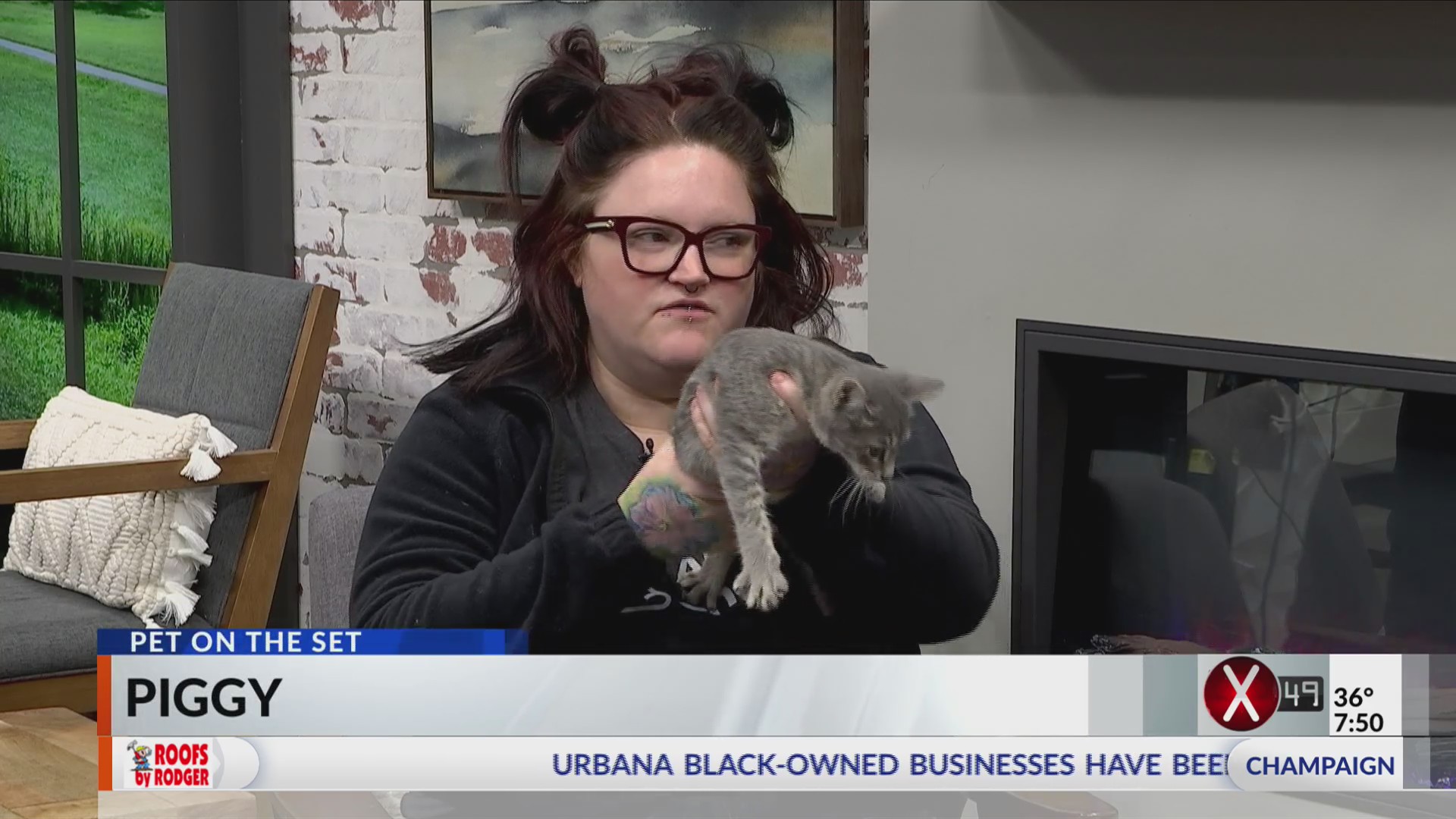 Pet on the Set: Piggy – WCIA.com
