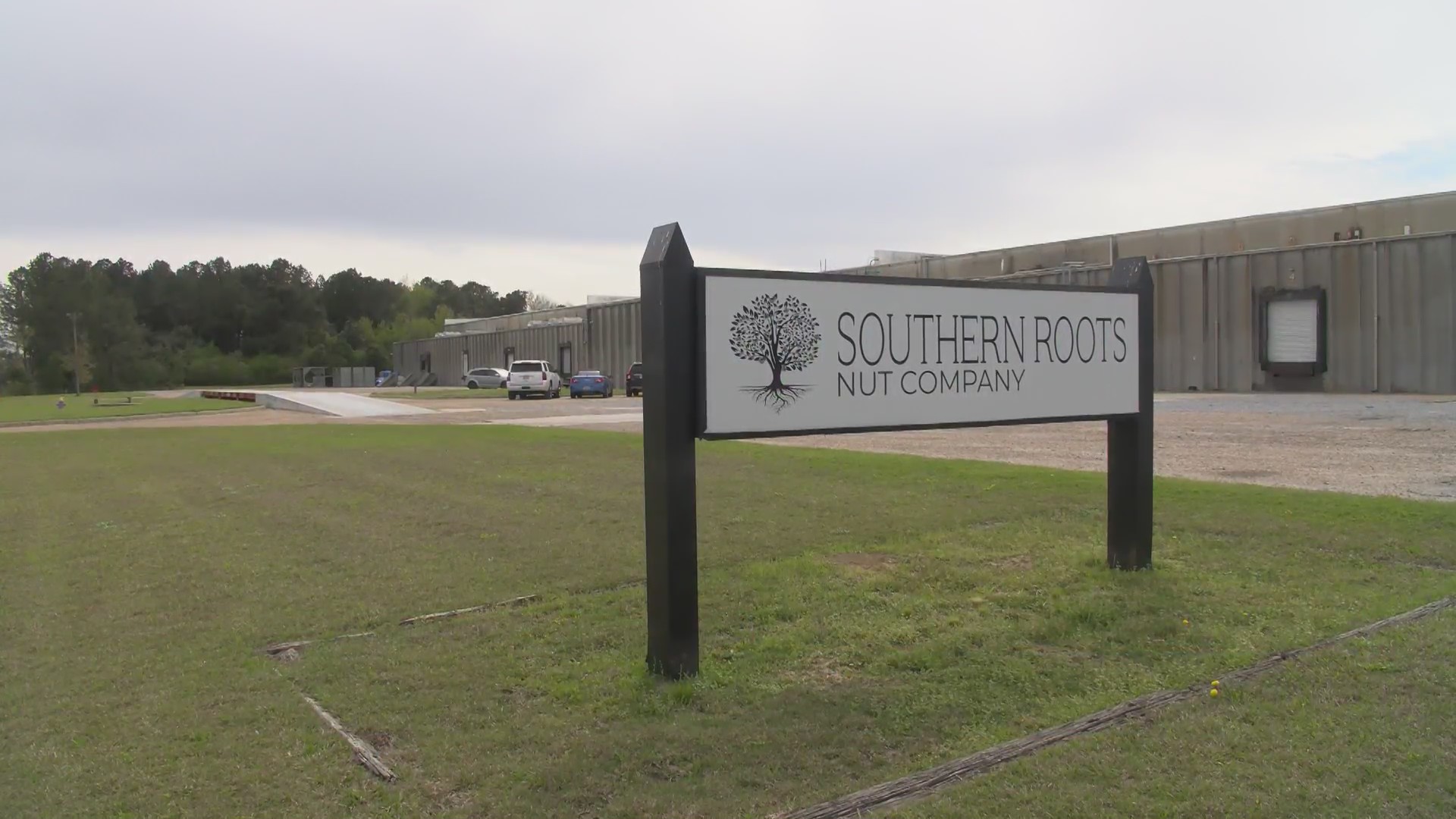 Southern Roots Nut Co. officially opens for business – WDHN – wdhn.com