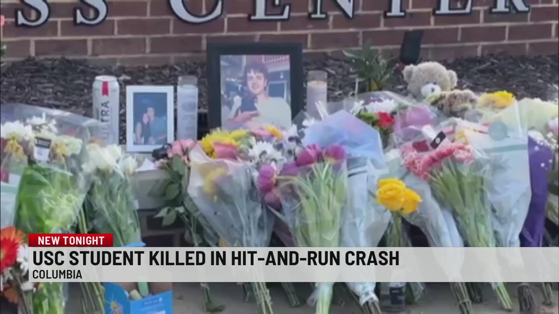 Suspect denied bond in hit-and-run that killed USC student – WSPA 7NEWS