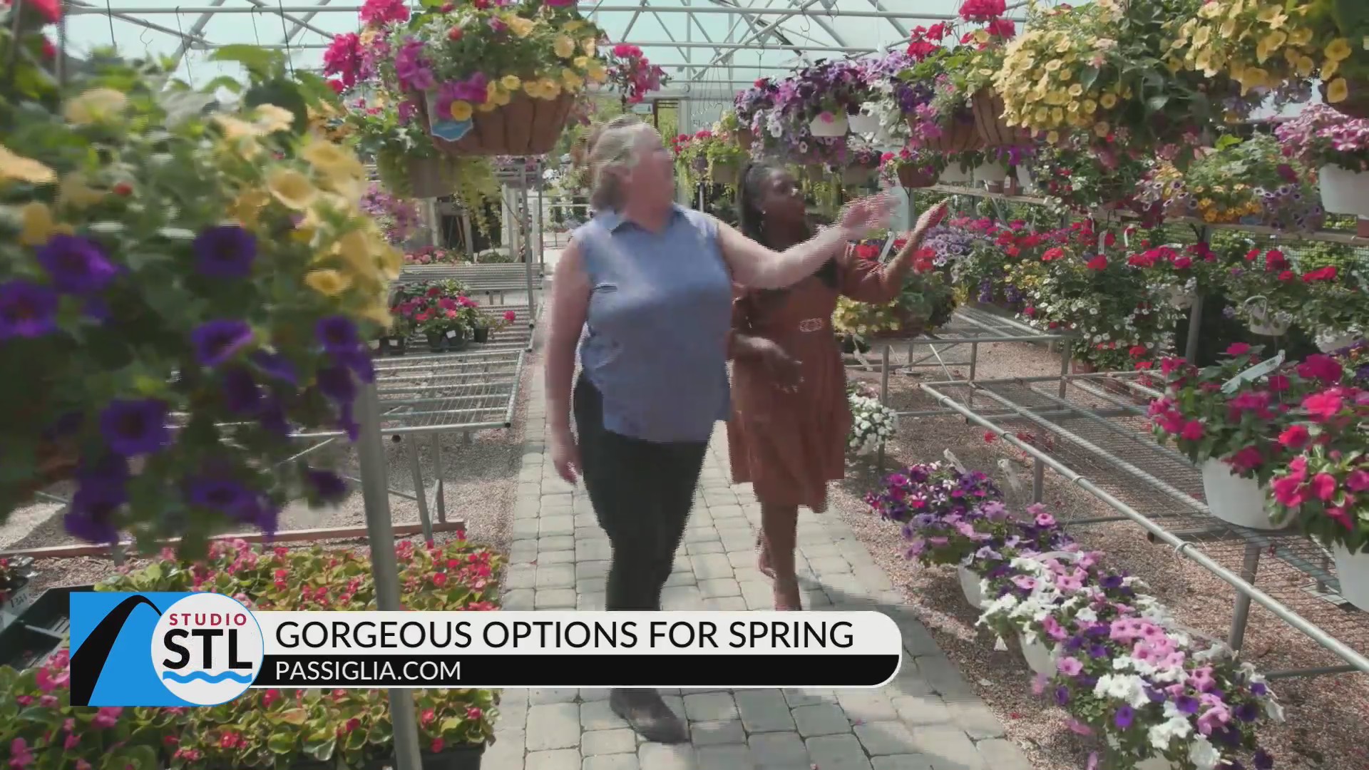 Flowers and plants in bloom- fantastic ideas come to life at Passiglia ...