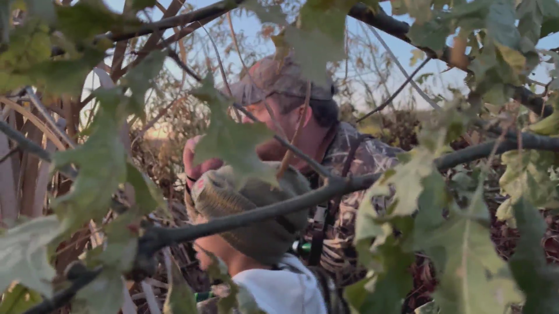 Missouri’s fall duck and coot hunting season begins this weekend – FOX 2